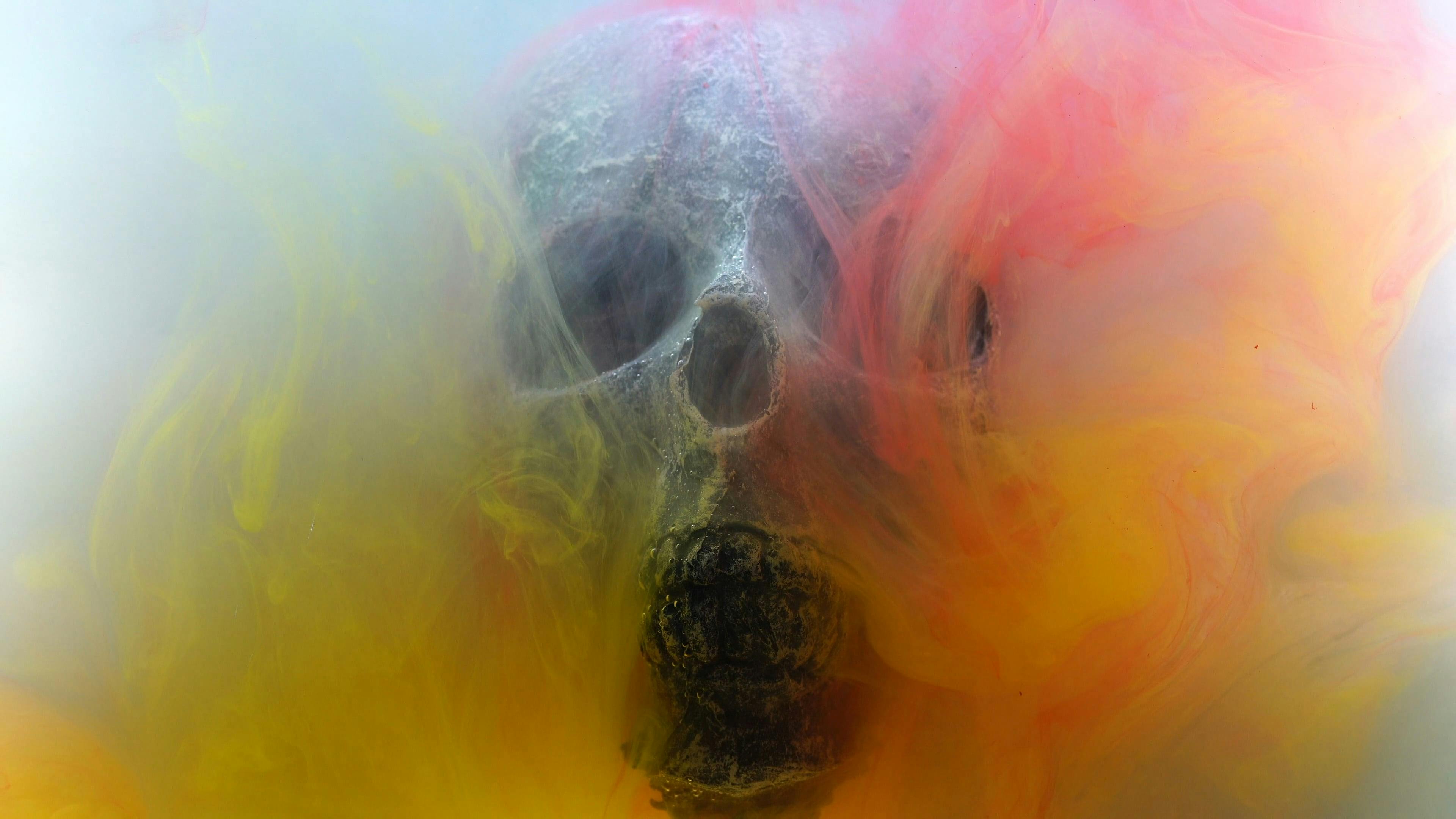 Skull Videos, Download The BEST Free 4k Stock Video Footage & Skull HD ...