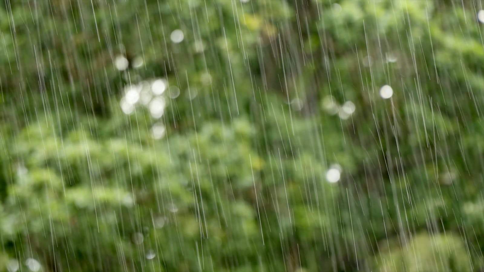 Heavy Rain No Background Videos, Download The BEST Free 4k Stock Video ...