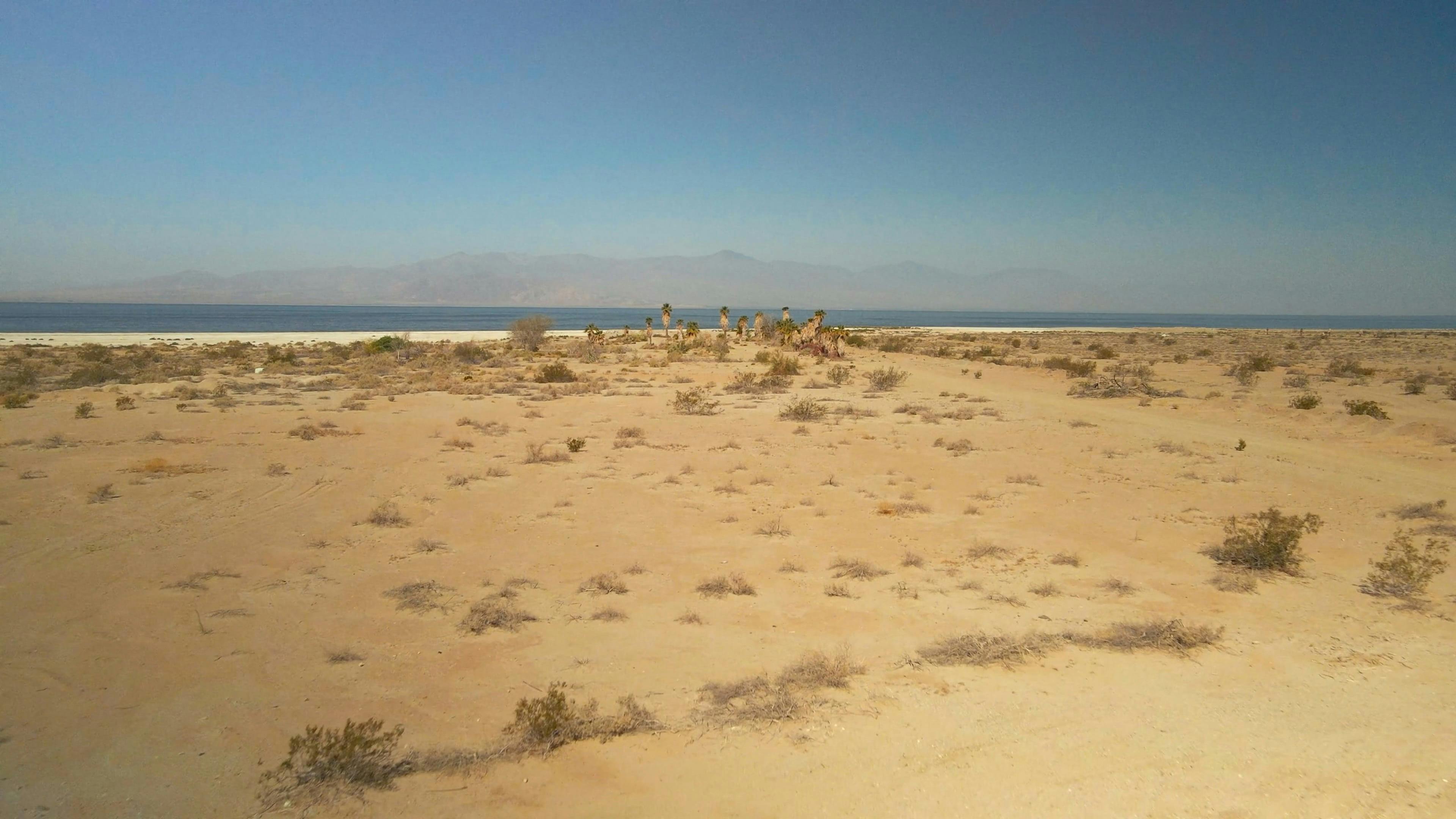 The Phenomenon Of Drought In Egypt Videos, Download The BEST Free 4k ...