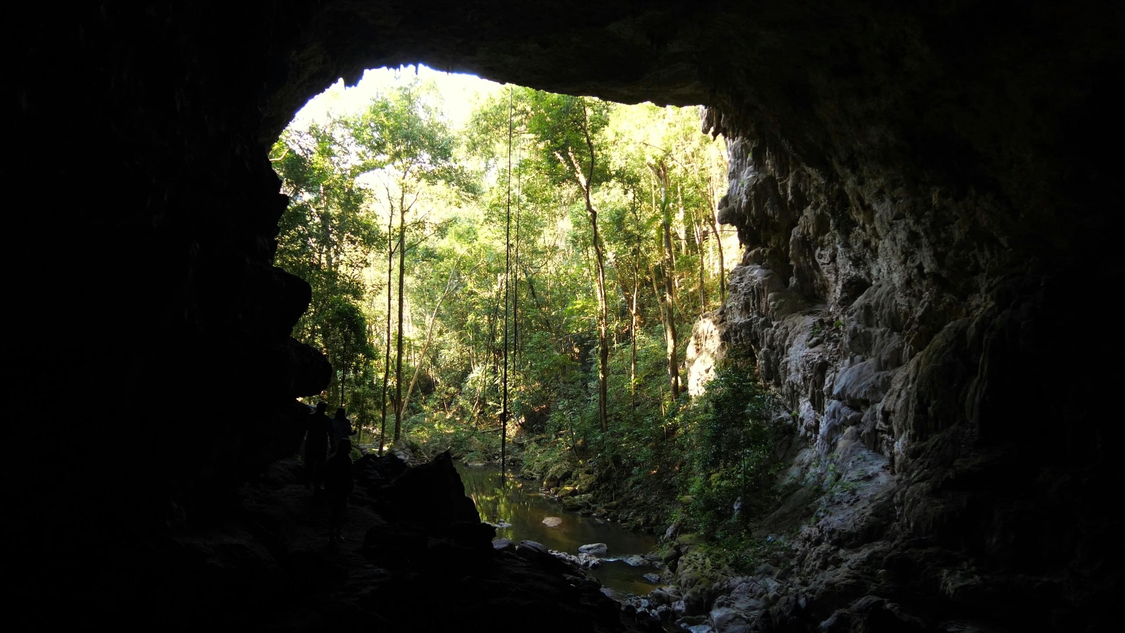 The entrance to a cave with trees and water Free Stock Video Footage ...