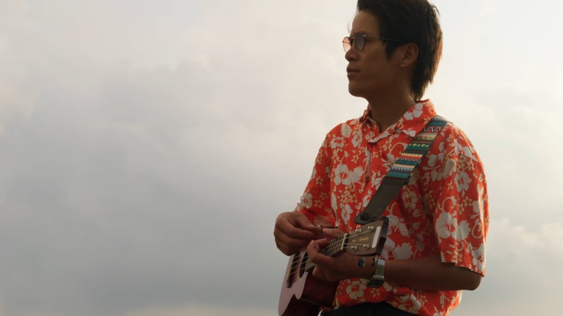 Hawaiian Singer Videos, Download The BEST Free 4k Stock Video Footage ...