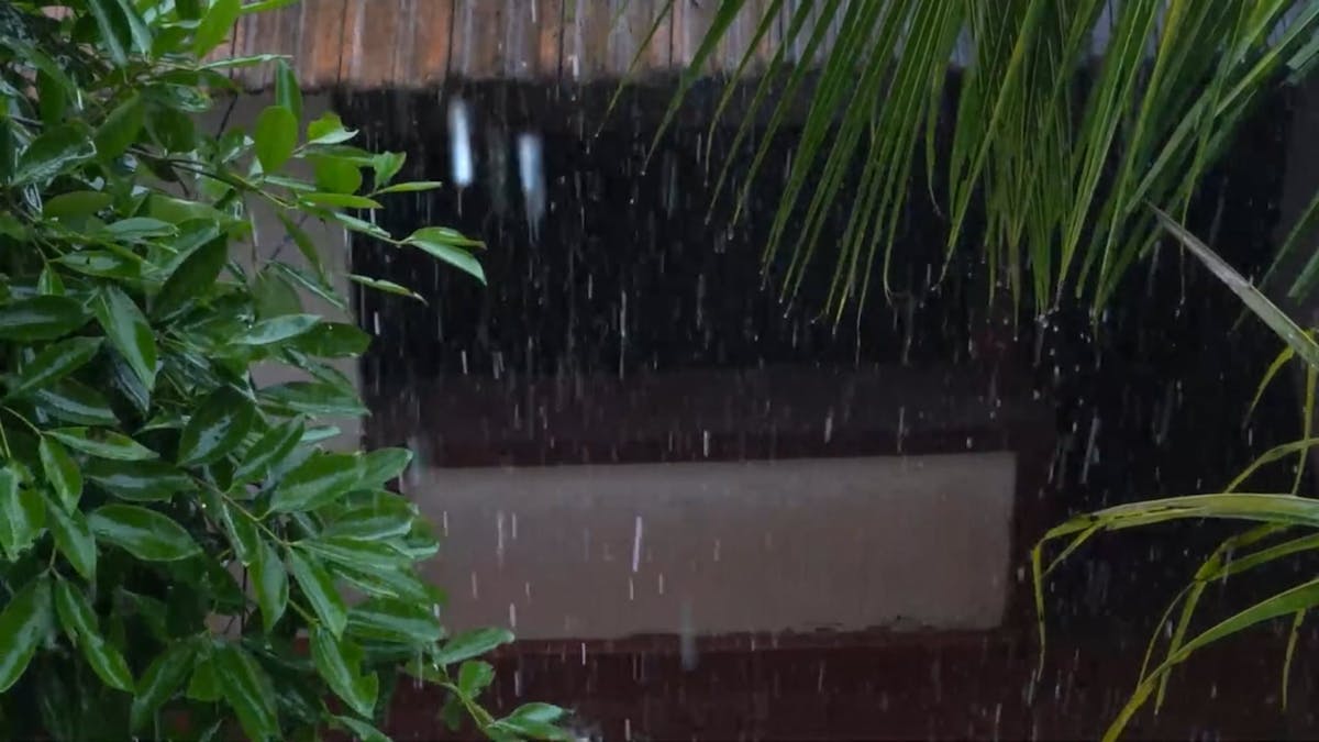 Monsoon Season Videos, Download The BEST Free 4k Stock Video Footage ...