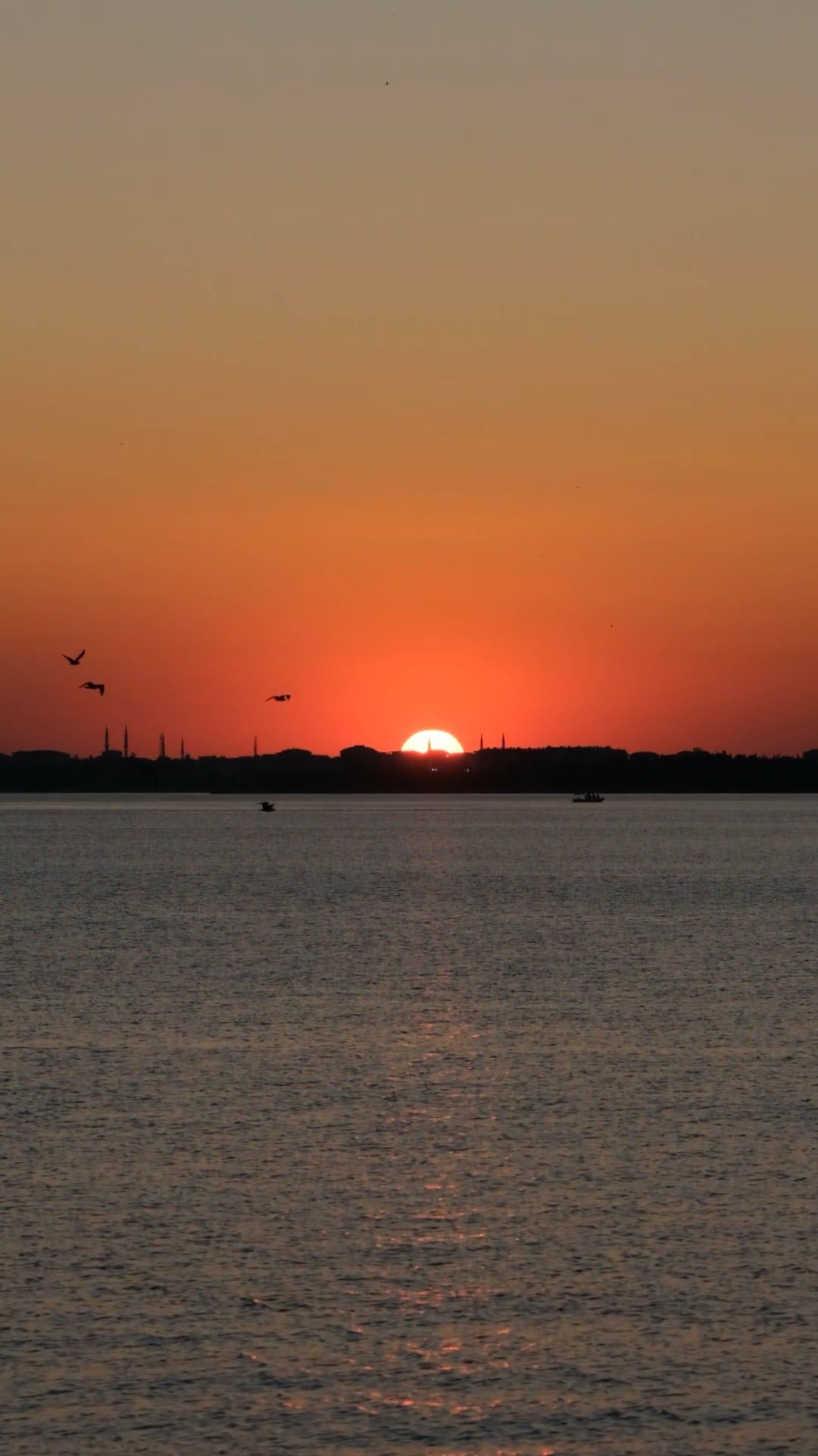Footage Of The Sunset Going Down In Time Lapse Free Stock Video Footage ...