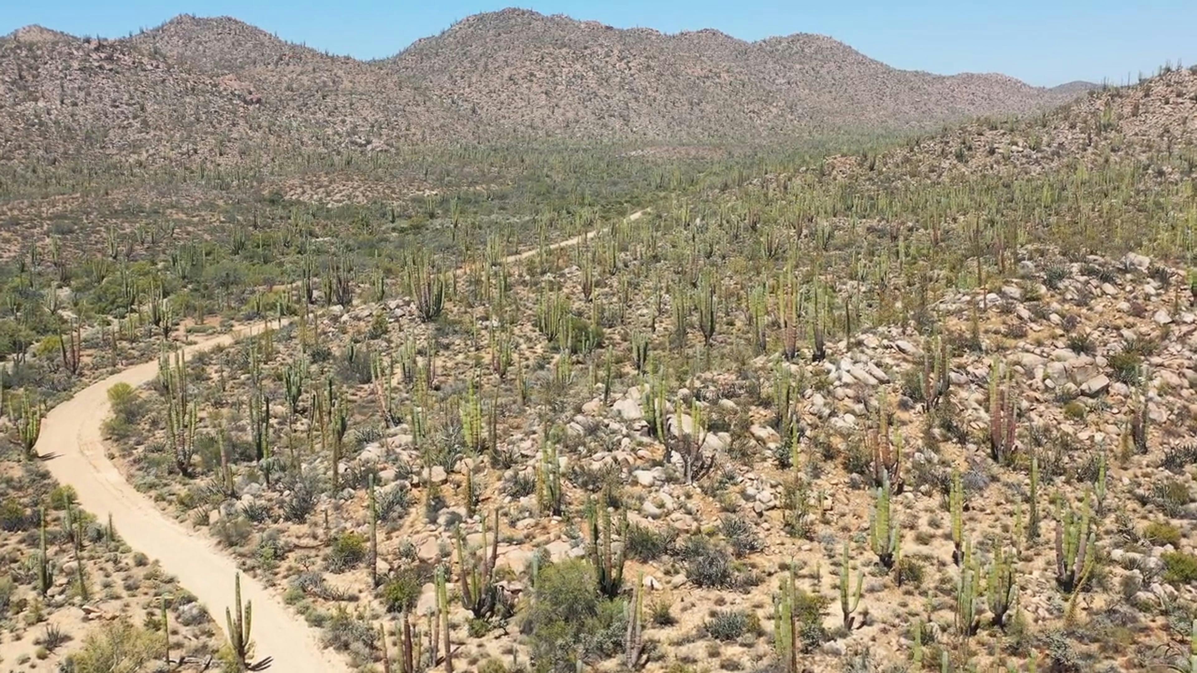 Desierto de Baja (baja desert) Free Stock Video Footage, Royalty-Free ...