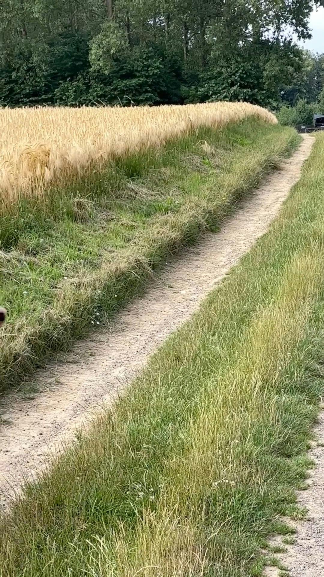 Fit Perspective Videos, Download The BEST Free 4k Stock Video Footage ...