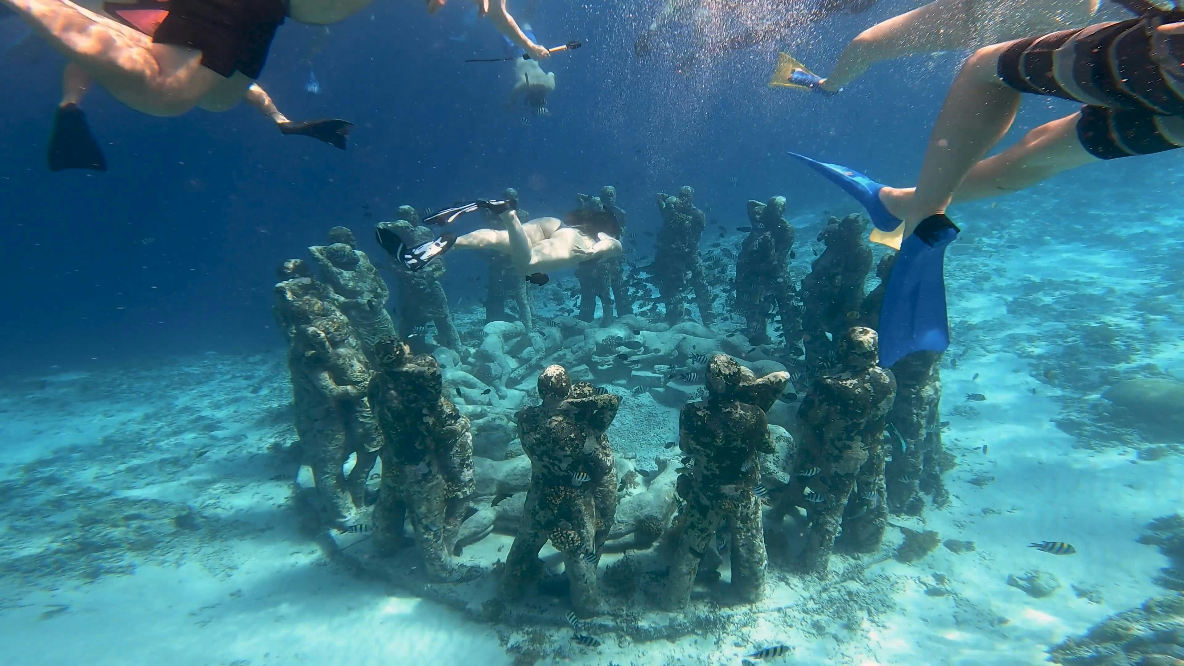 Sea Turtle Statues Videos, Download The BEST Free 4k Stock Video ...