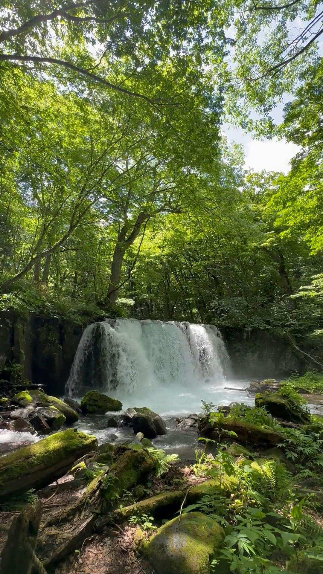 Stunning Waterfall in Lush Green Forest Free Stock Video Footage ...