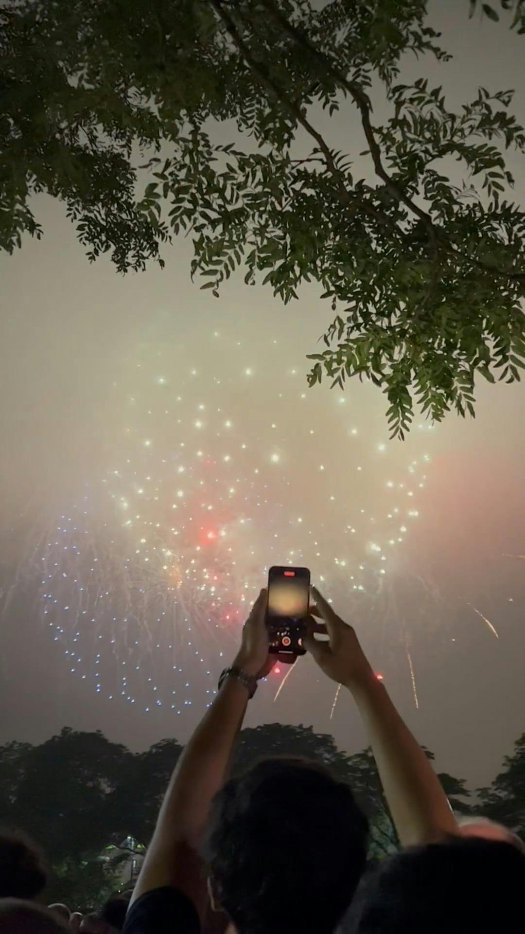 Colorful Livery Videos, Download The BEST Free 4k Stock Video Footage ...