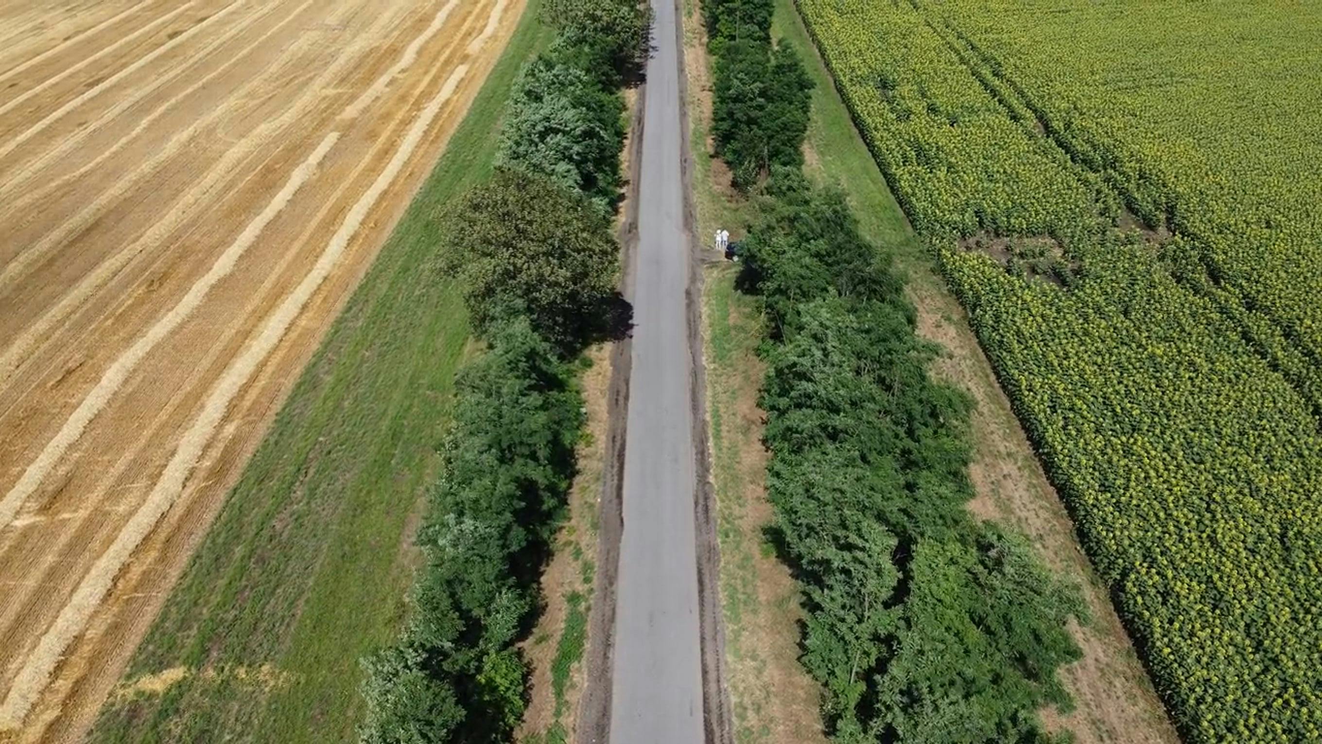 Bollywood Movies Scenes Videos, Download The BEST Free 4k Stock Video ...