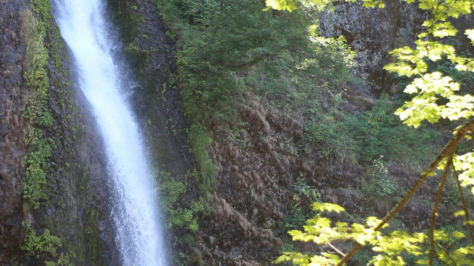 Waterfall Rushing Free Stock Video Footage, Royalty-Free 4K & HD Video Clip