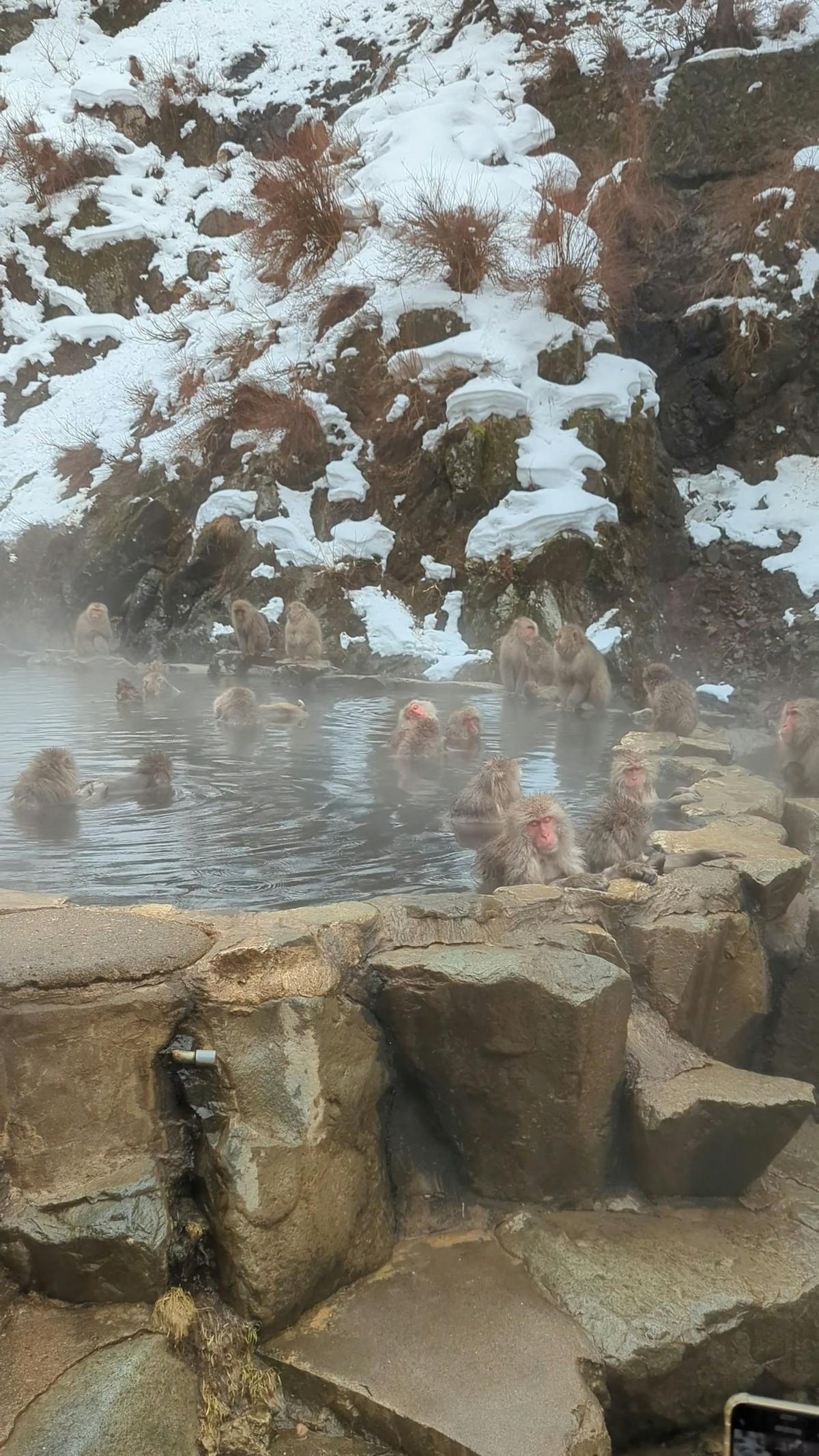 Japanese Onsen Videos, Download The BEST Free 4k Stock Video Footage ...