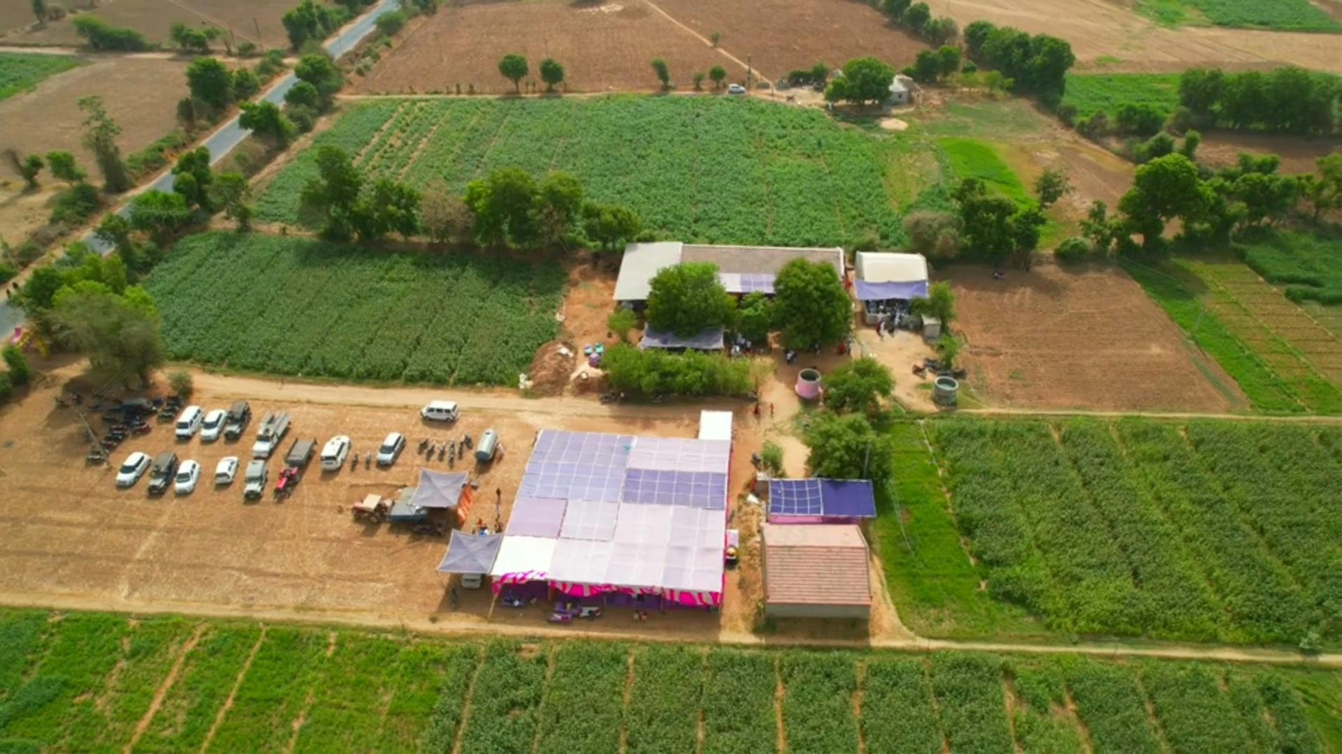 Green Nechur Free Stock Video Footage, Royalty-Free 4K & HD Video Clip