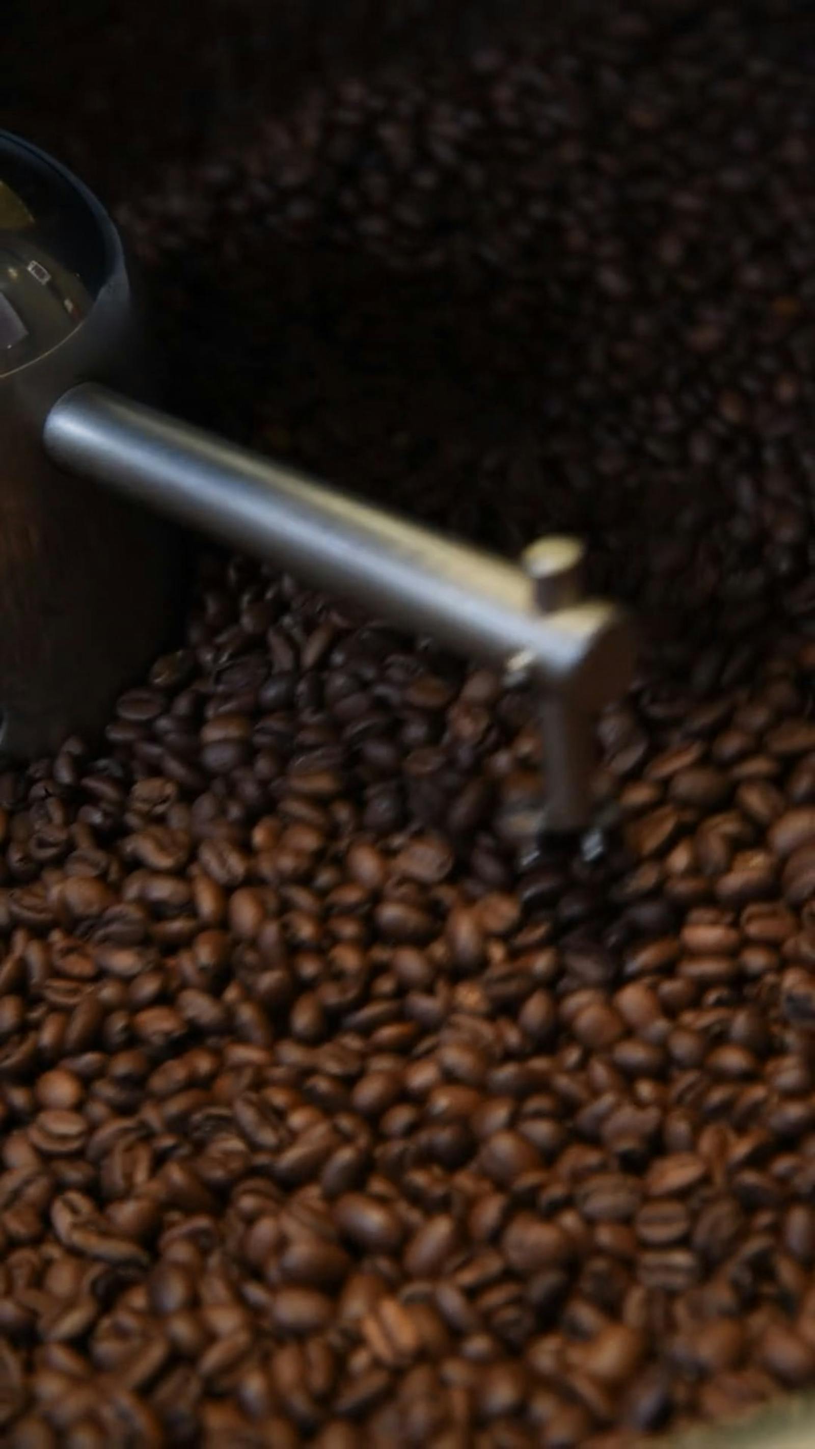Coffe Videos, Download The BEST Free 4k Stock Video Footage & Coffe HD ...
