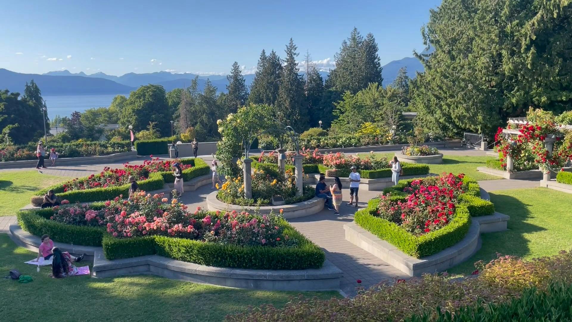 Rose Lake Videos, Download The BEST Free 4k Stock Video Footage & Rose ...