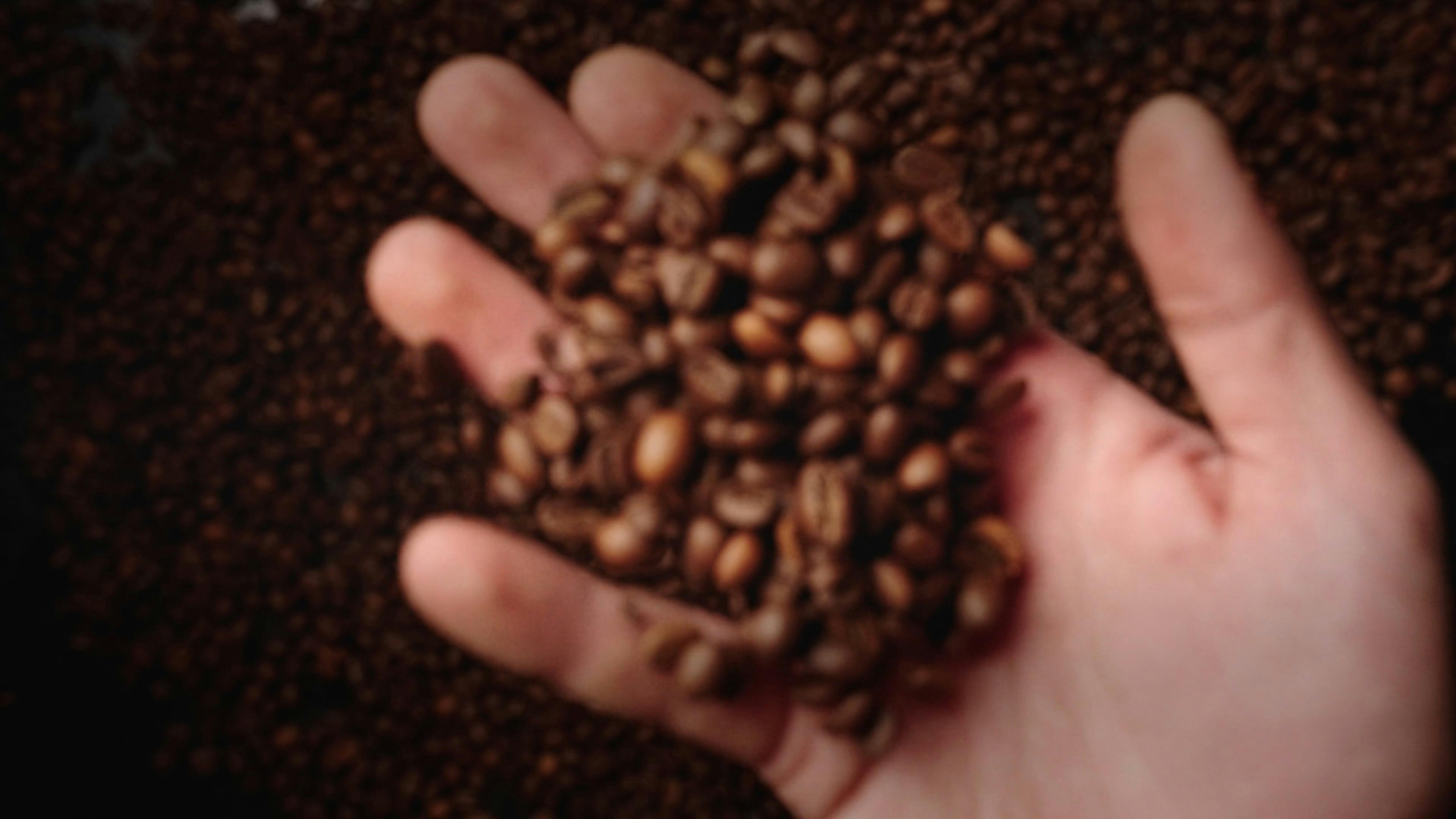 Nebula 4k Clip Videos, Download The BEST Free 4k Stock Video Footage ...