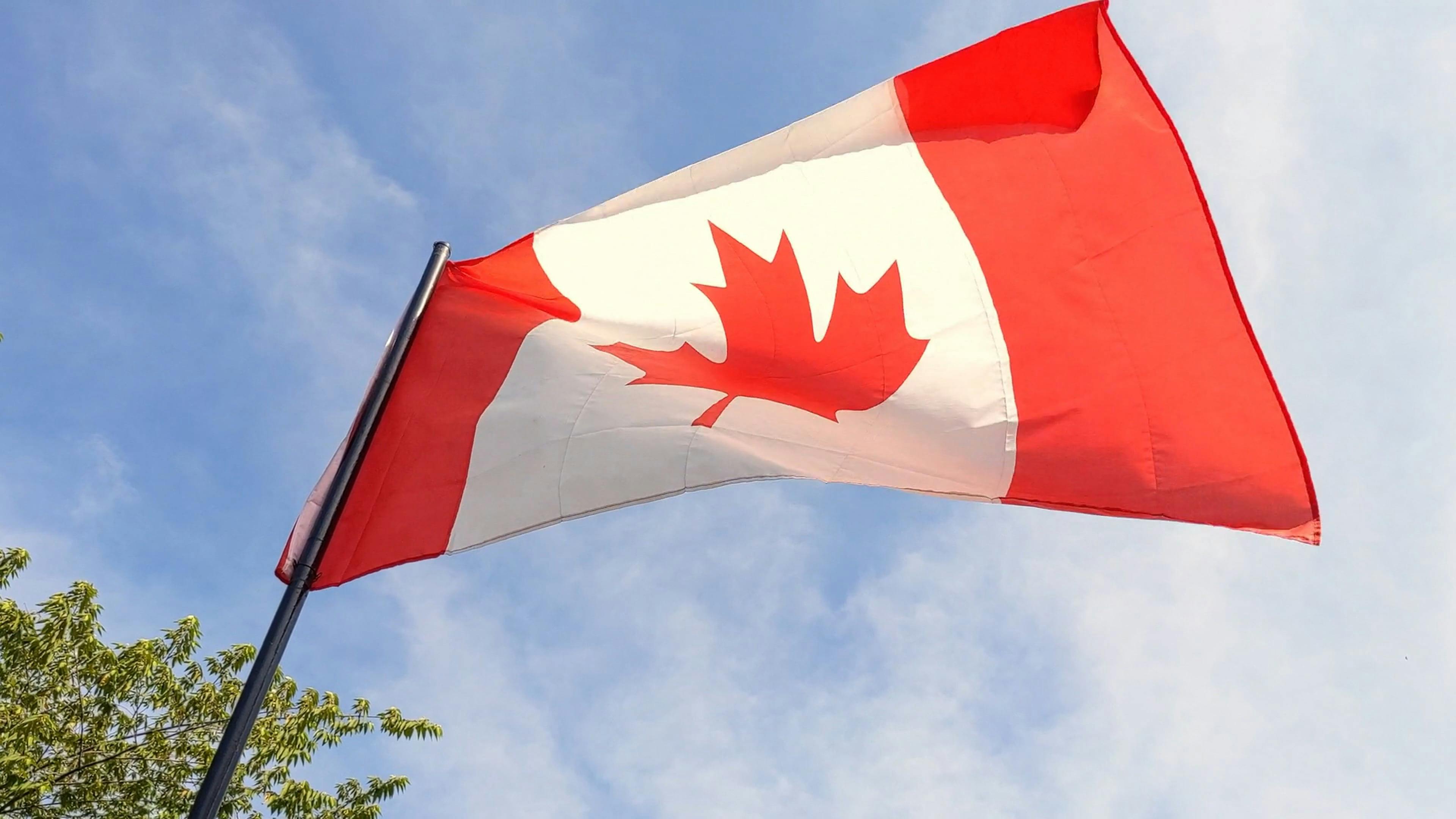Low angle shot of Canadian flag waving in the wind Free Stock Video ...