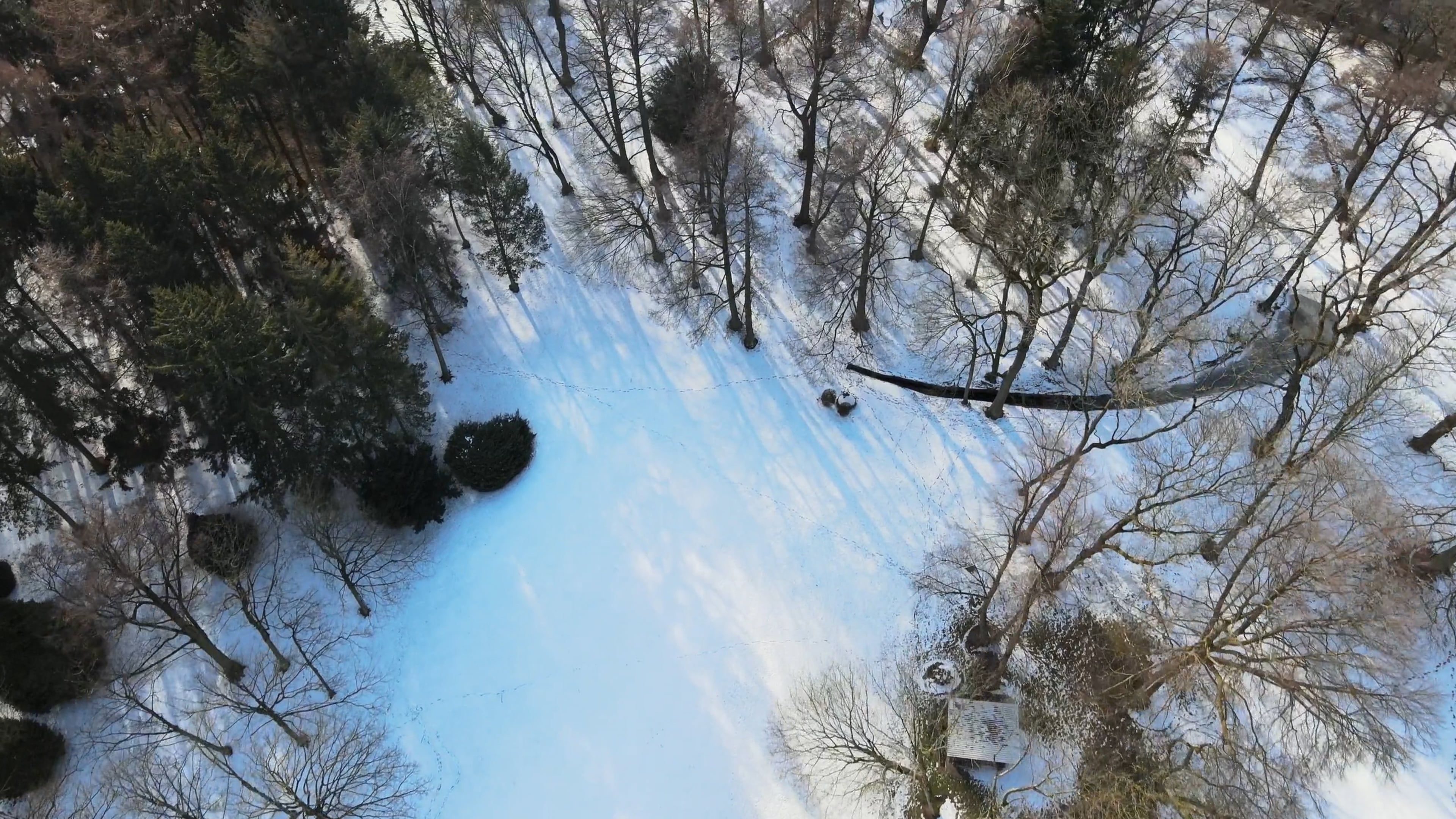 An aerial view of a park with trees and snow Free Stock Video Footage ...