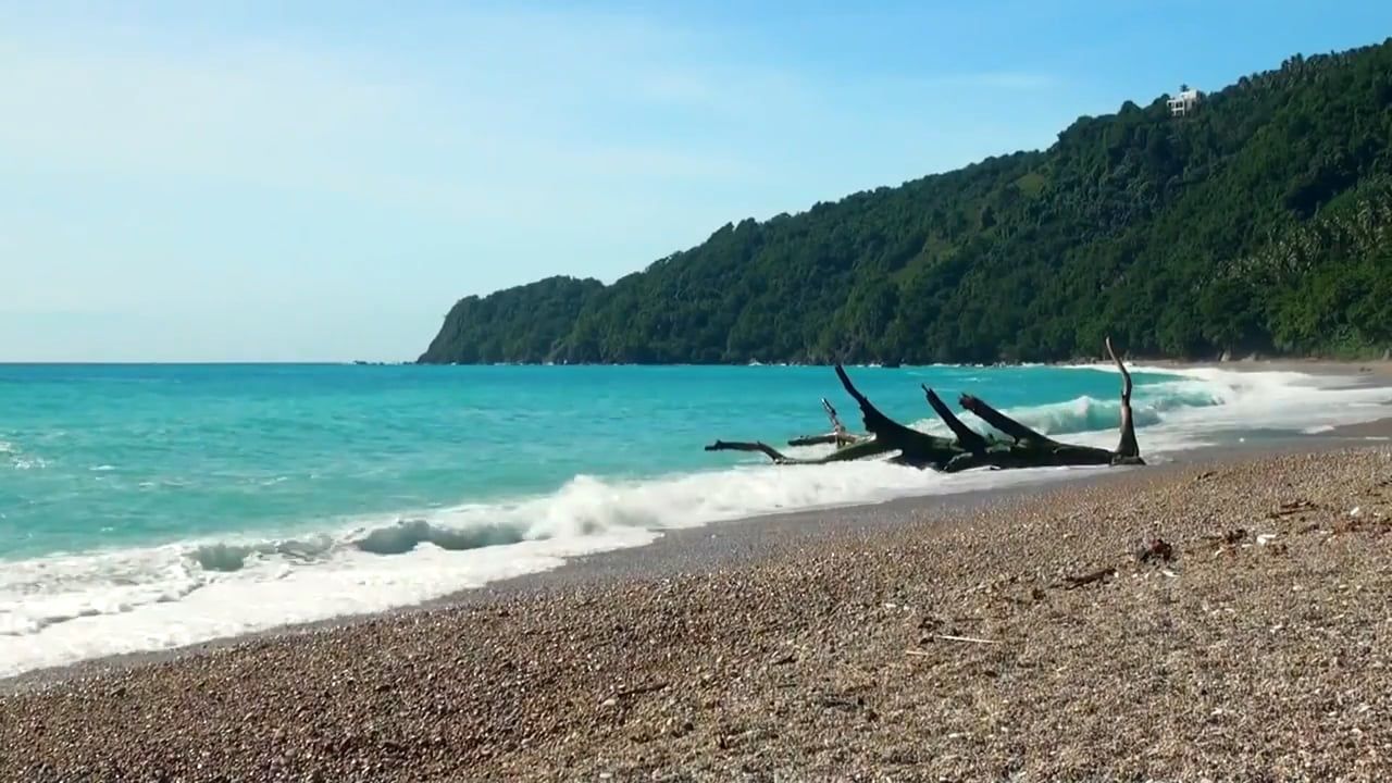 Jungle Shoreline Videos, Download The BEST Free 4k Stock Video Footage ...