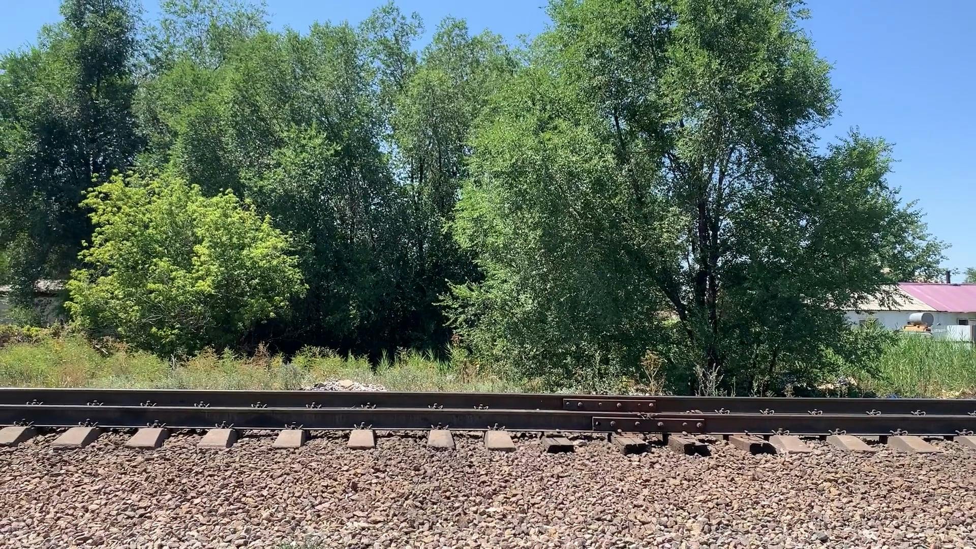 Grigoriy Bunkov - 摄影