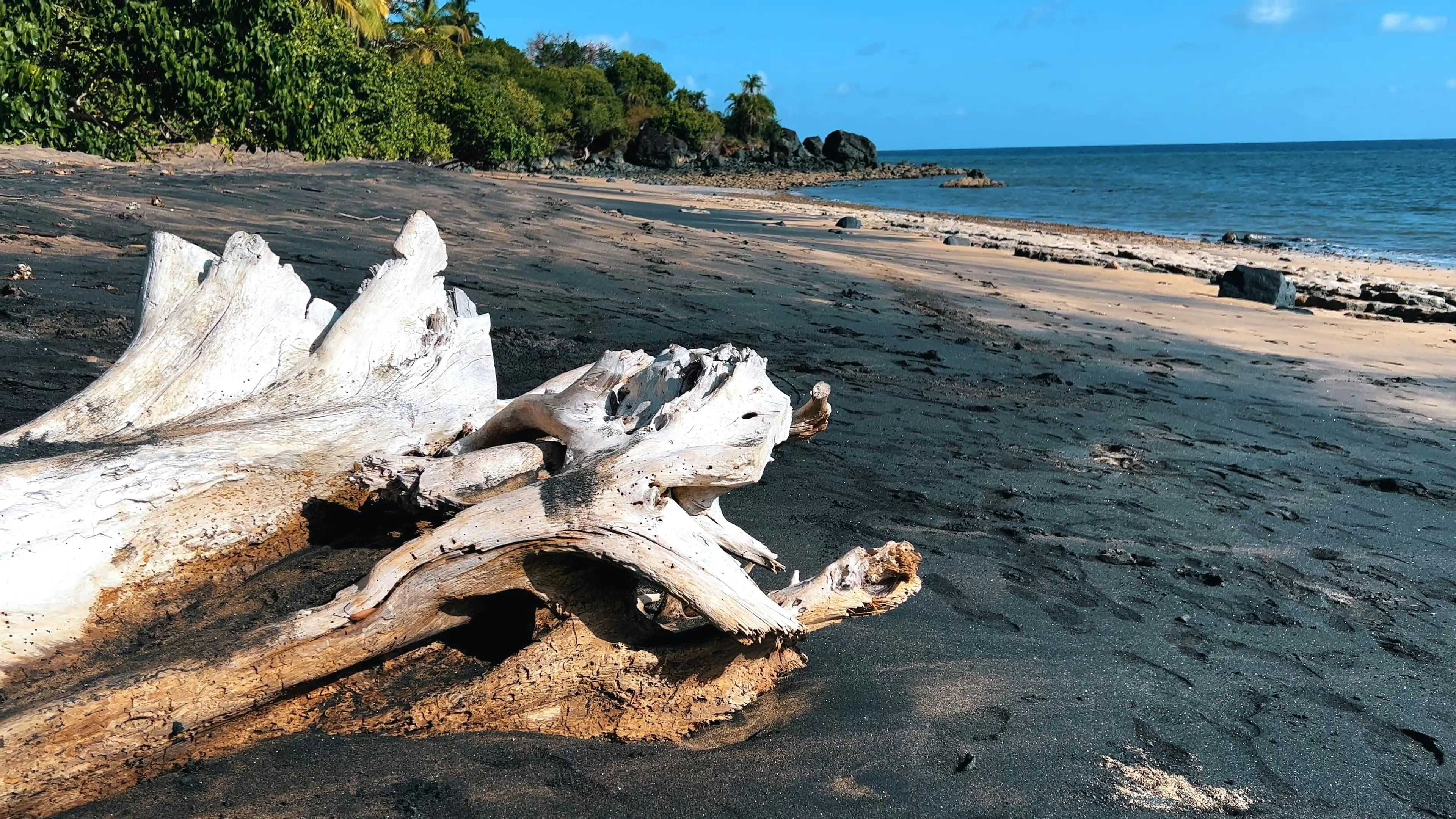 Mayotte - Looking at a white piece of wood landed on a tropical beach ...