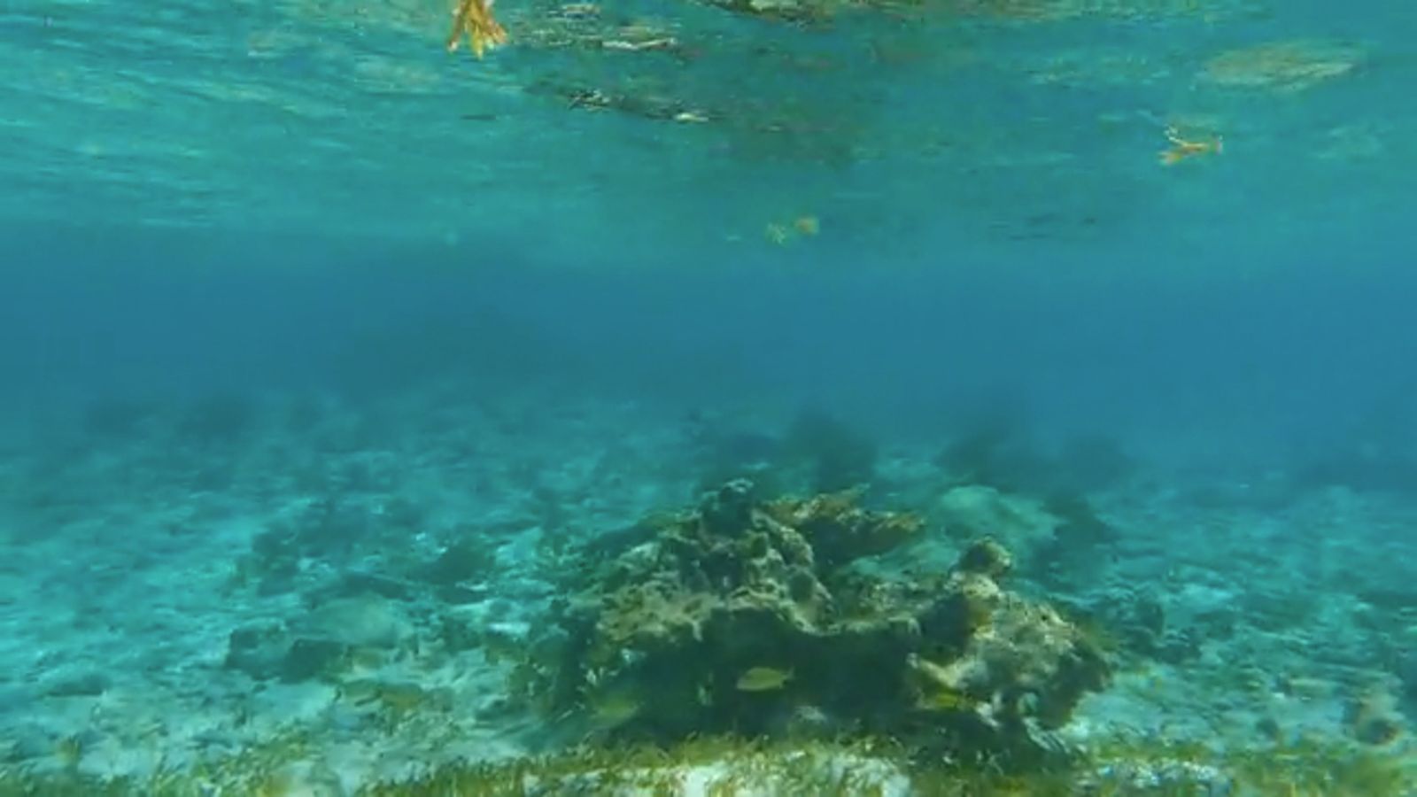Belize Videos, Download The BEST Free 4k Stock Video Footage & Belize ...