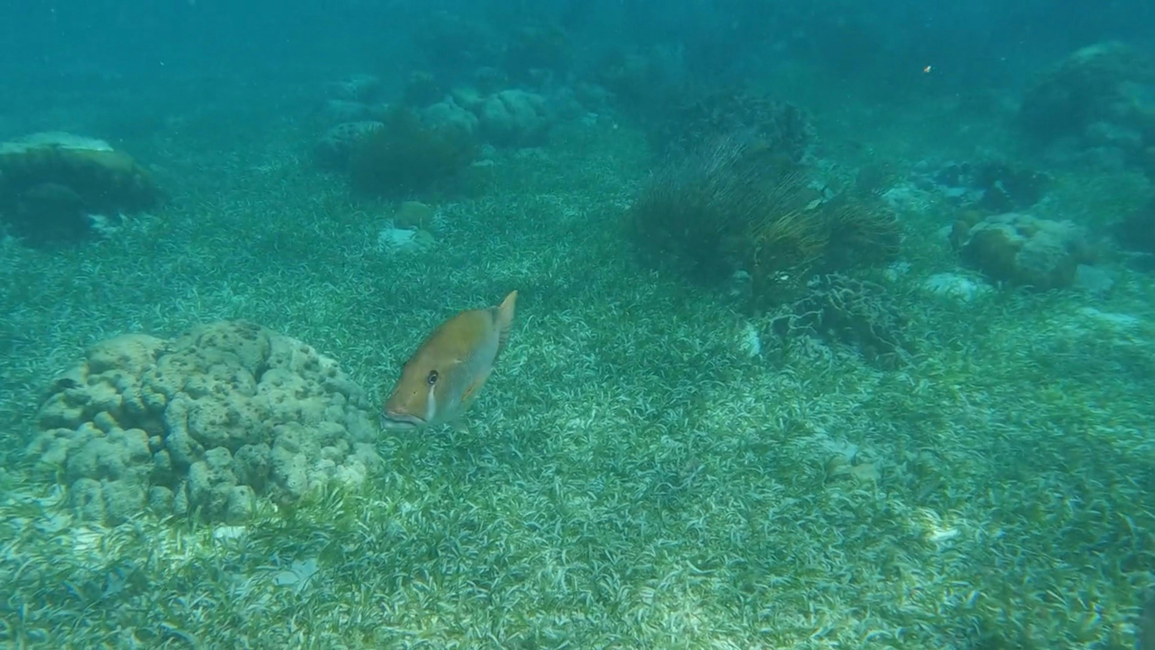 Equatorial Waters Videos, Download The BEST Free 4k Stock Video Footage ...