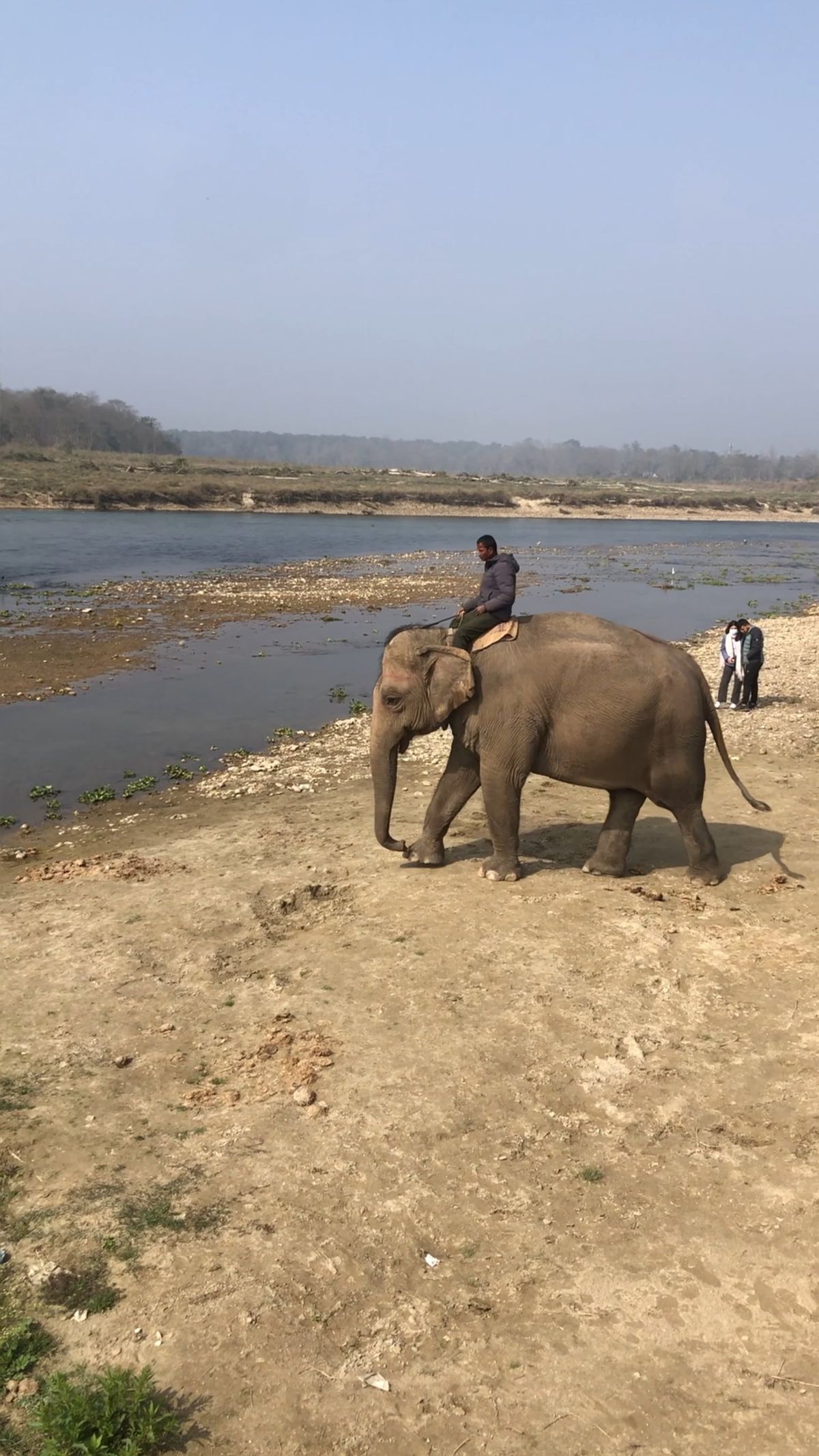 Chitwan Nepal Videos, Download The BEST Free 4k Stock Video Footage ...