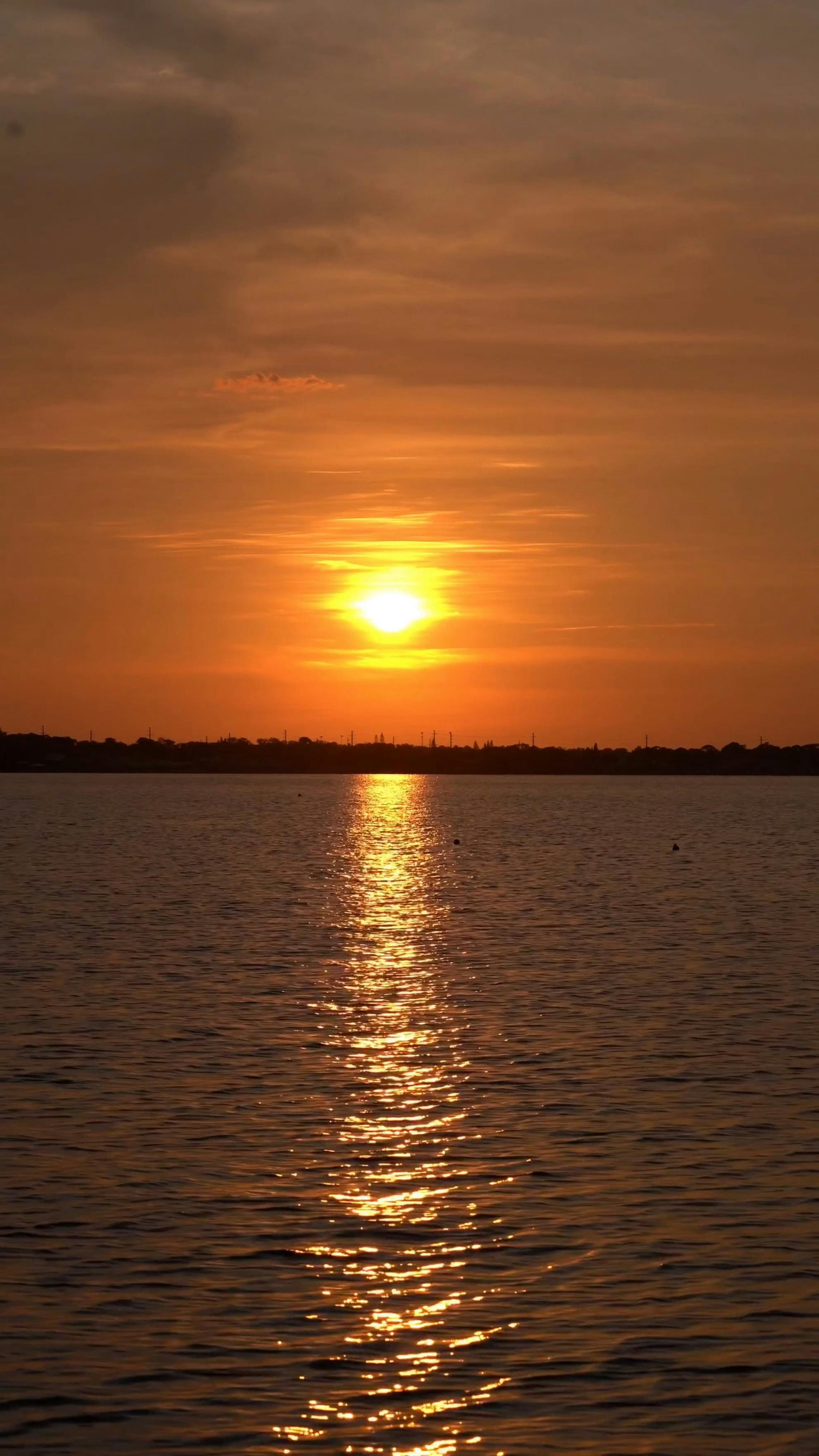 Silhouette of Grass Swaying in the Wind at Sunset Free Stock Video ...