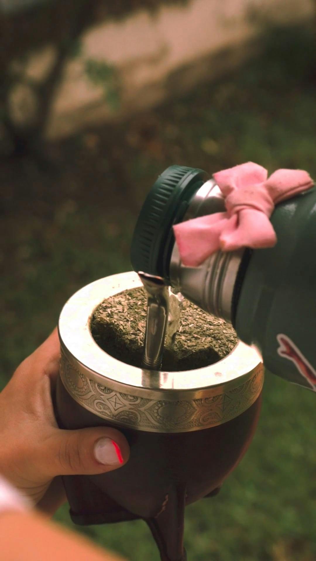 Green Mate Videos, Download The BEST Free 4k Stock Video Footage ...