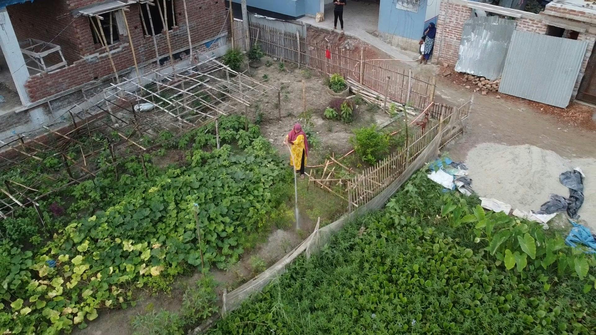 Future of Gardening: Watering Drones Transforming Vegetable Gardens ...