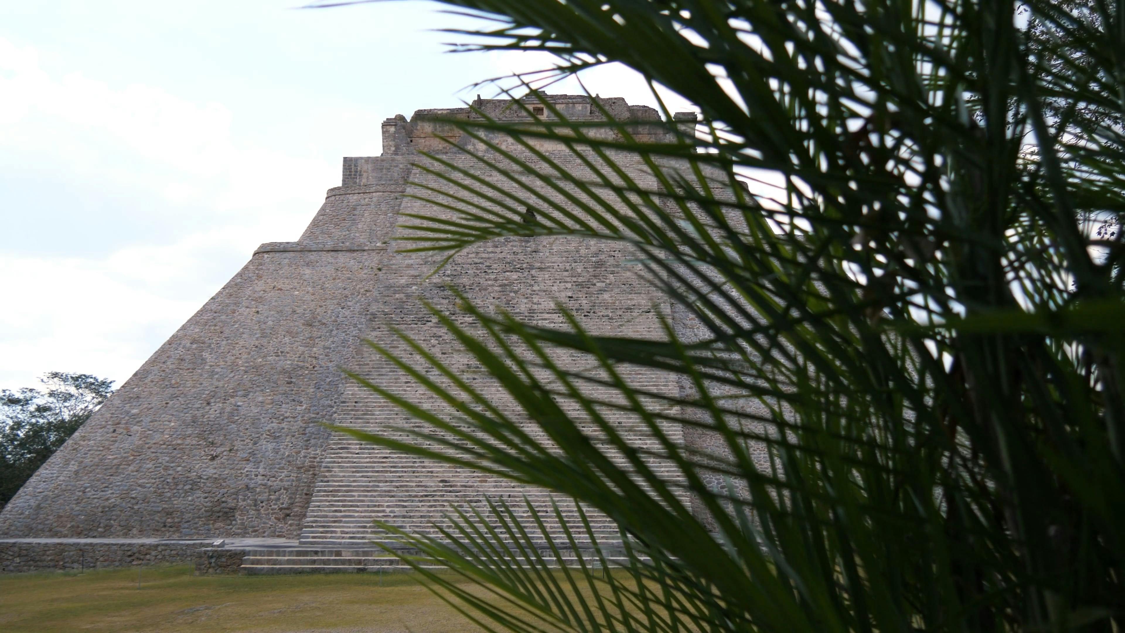 Young+Old+Ffm Videos, Download The BEST Free 4k Stock Video Footage ...