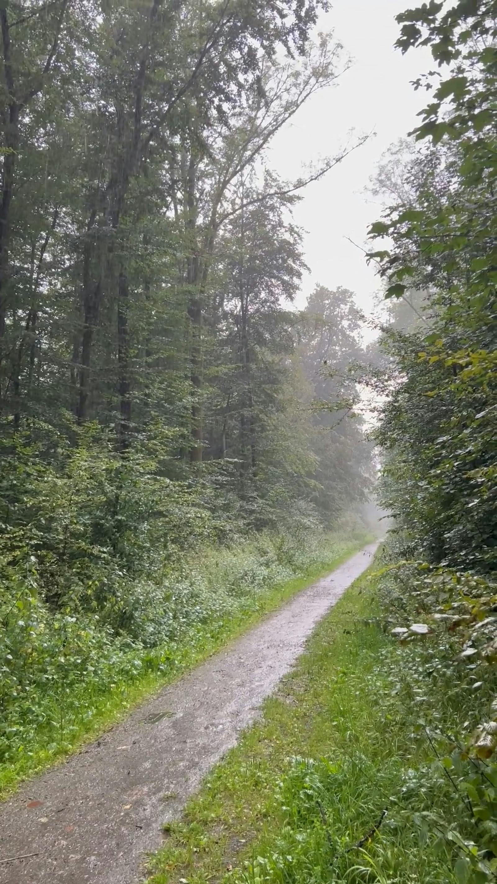 ücretsiz+Video Videos, Download The BEST Free 4k Stock Video Footage ...