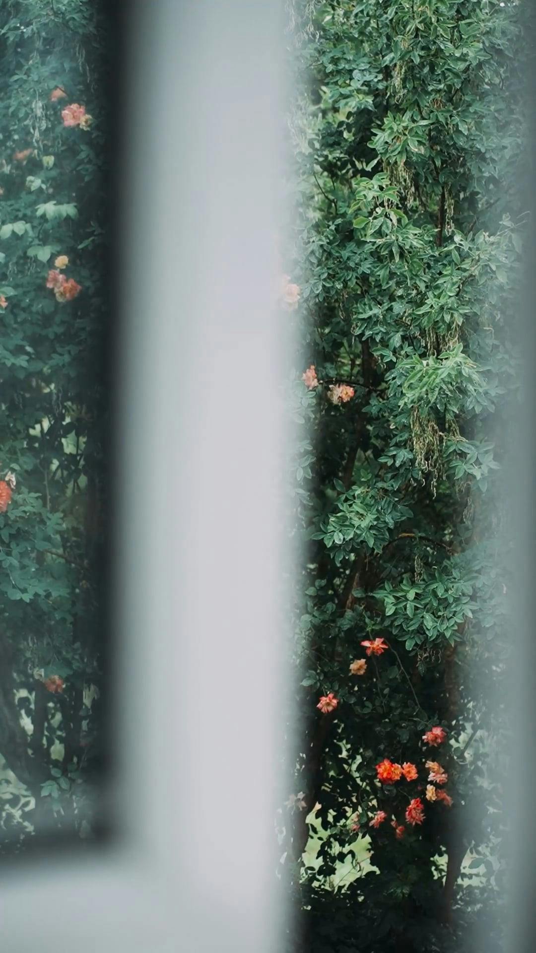 Asmr Rain Videos, Download The BEST Free 4k Stock Video Footage & Asmr ...