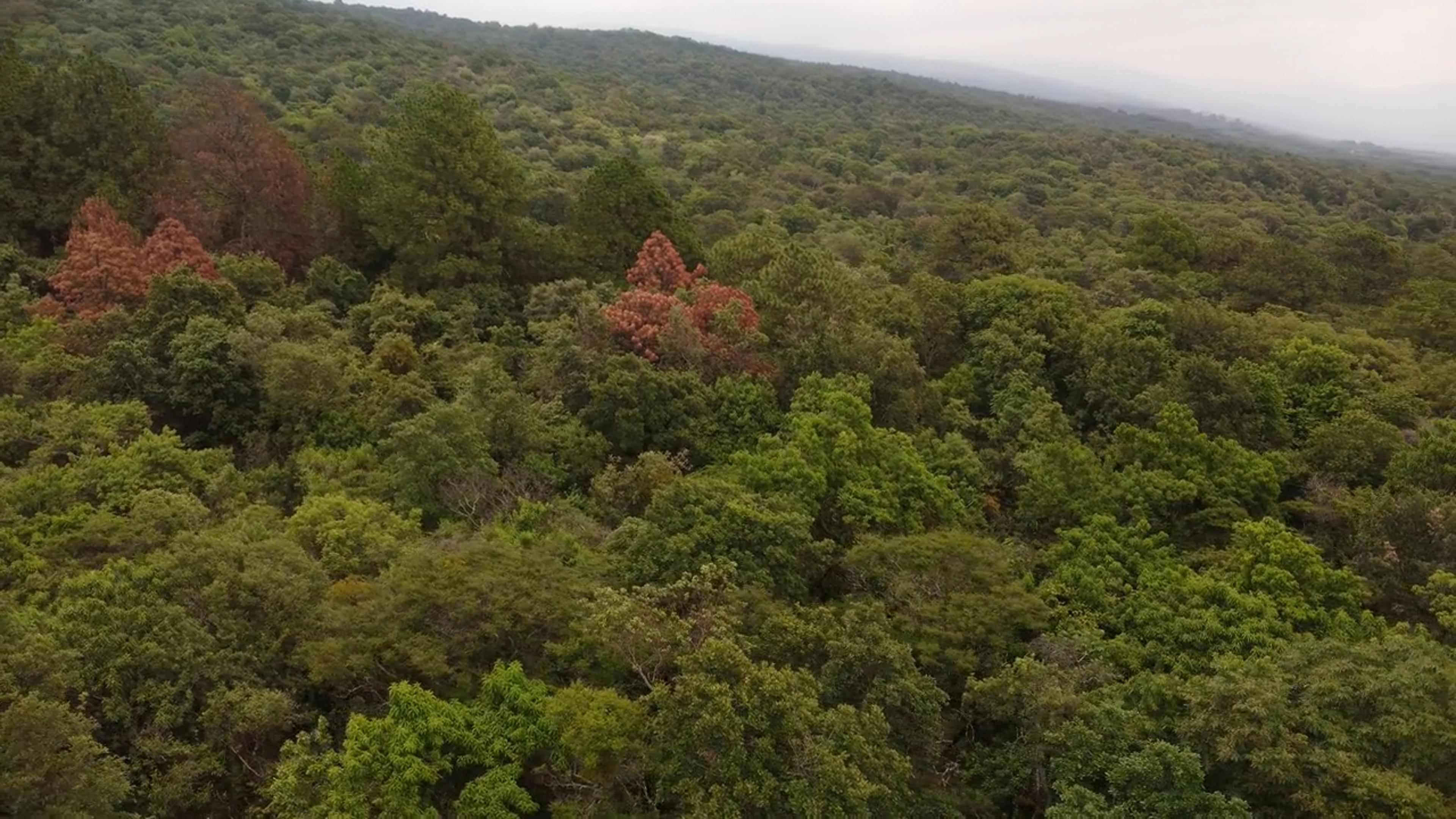 Vídeos de stock gratuitos sobre @al aire libre, 4k, 4k footage, 4k ...