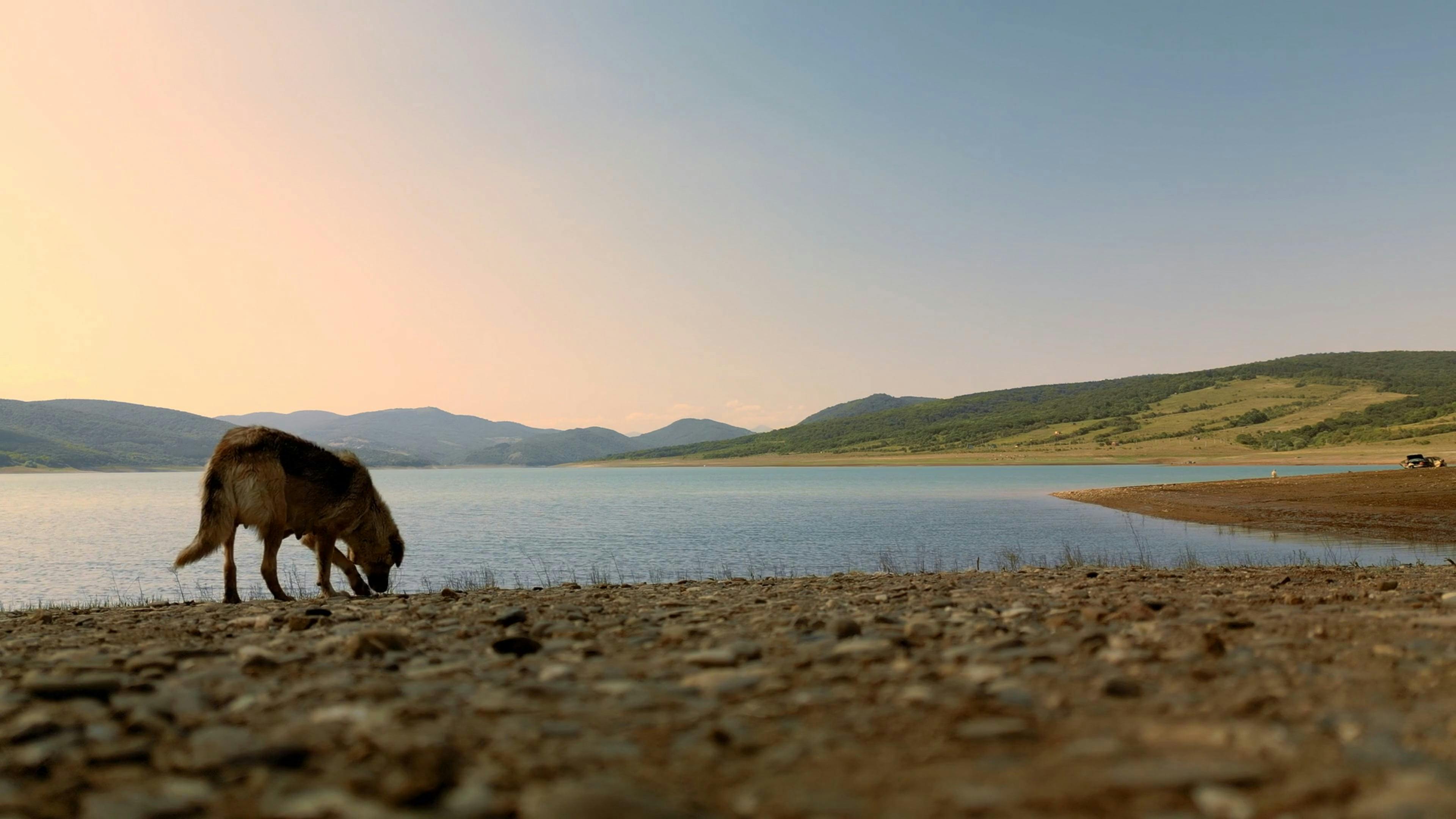 Vídeos de stock gratuitos sobre 4k metraje, a orillas del lago, al aire ...