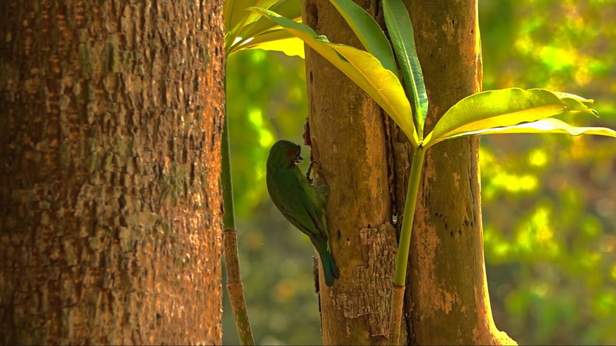 240 Fps Videos, Download The BEST Free 4k Stock Video Footage & 240 Fps ...