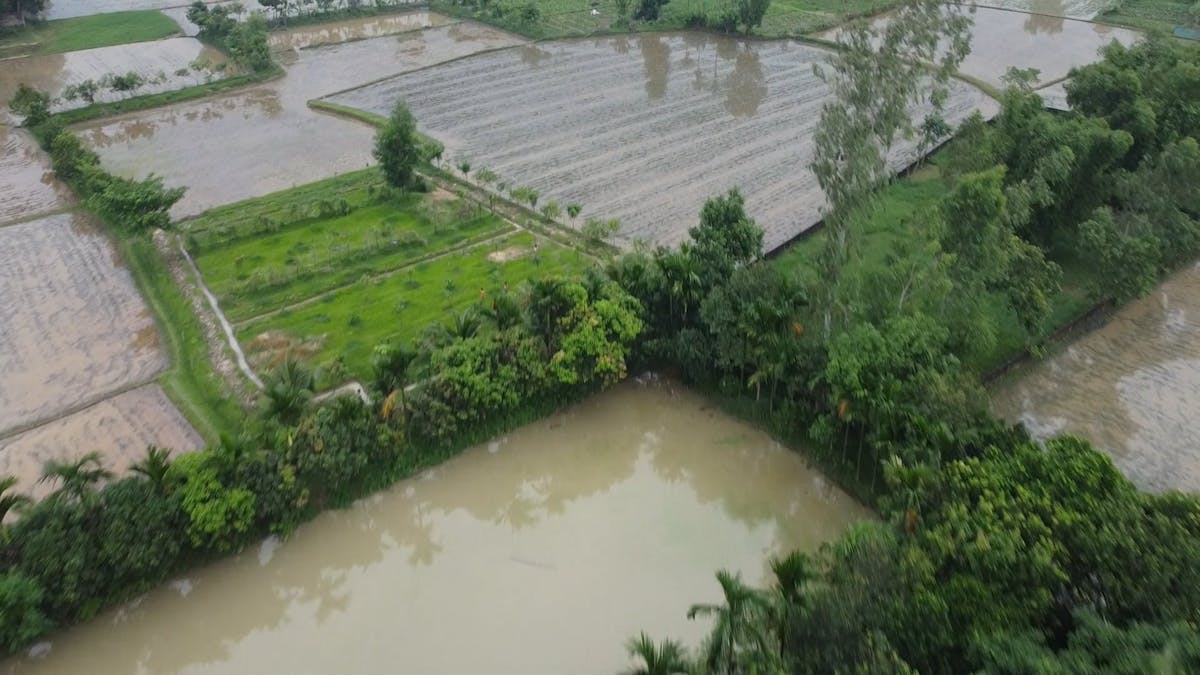 Bangladeshi Hujur Videos, Download The BEST Free 4k Stock Video Footage ...