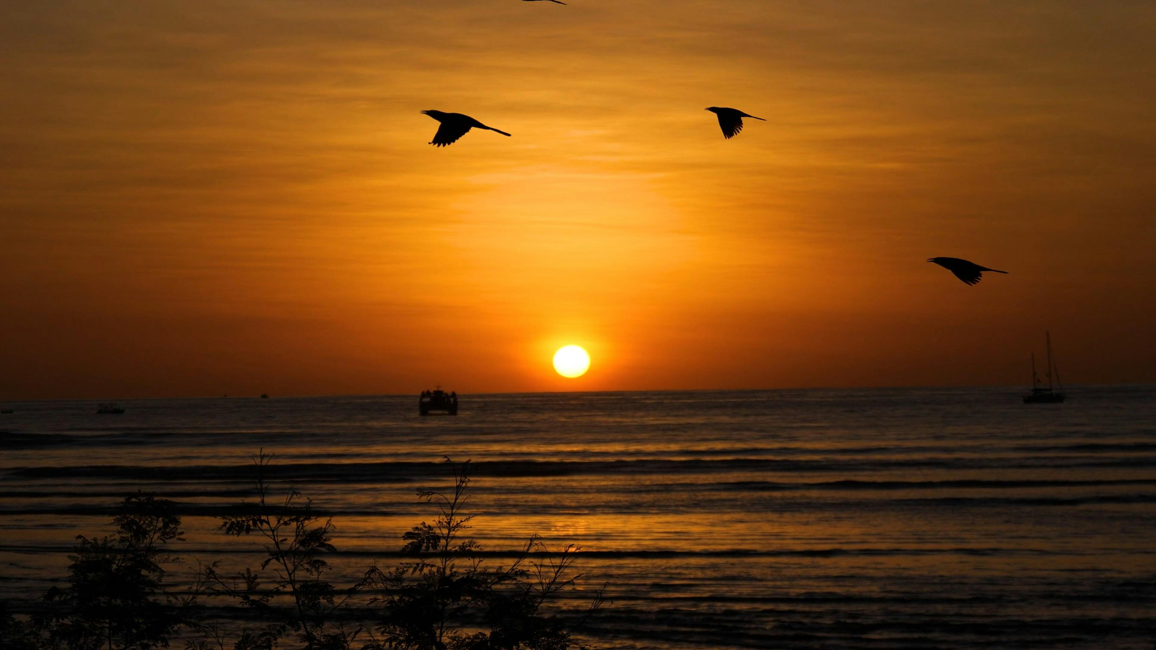 Sketchy Wallpaper Videos, Download The BEST Free 4k Stock Video Footage ...