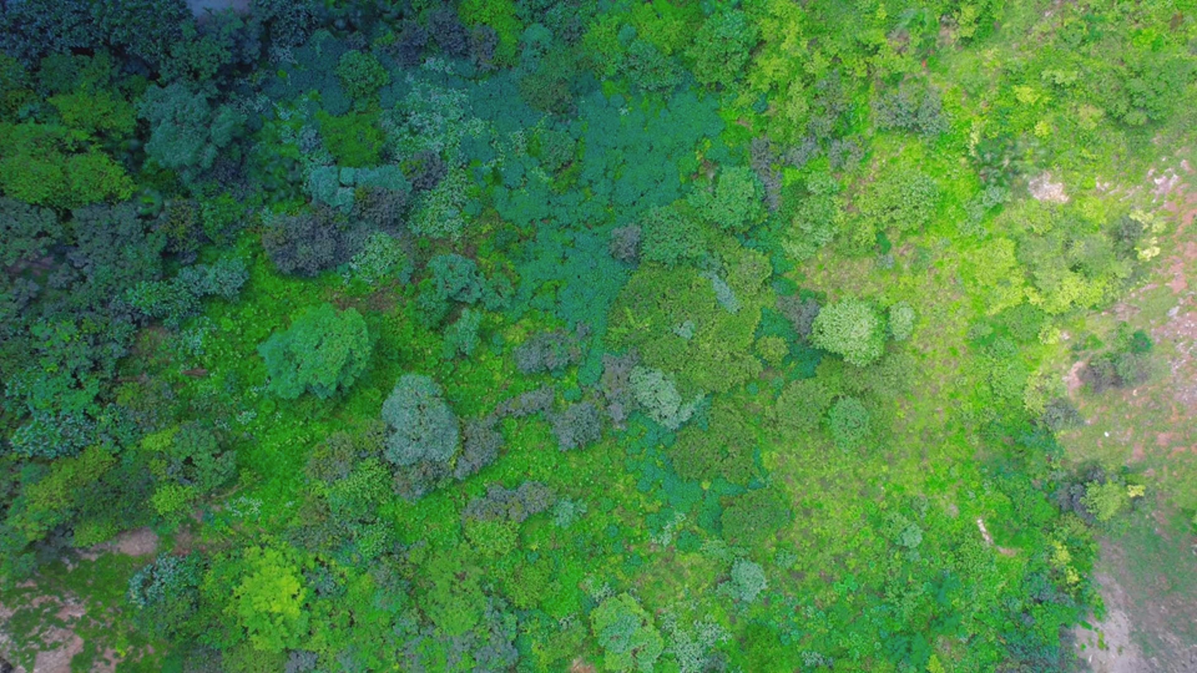 An aerial view of a cave with green vegetation Free Stock Video Footage ...