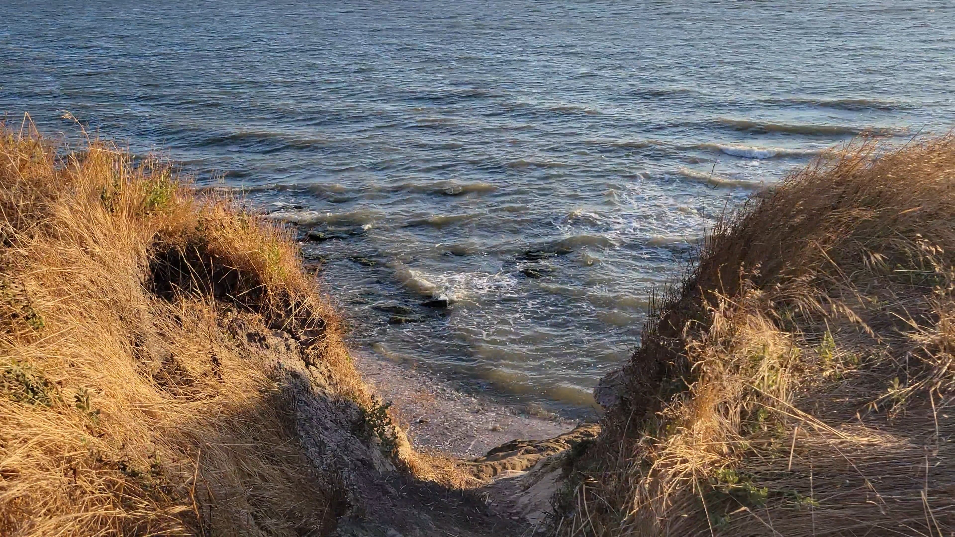 A path leading to the beach with grass and sand Free Stock Video ...