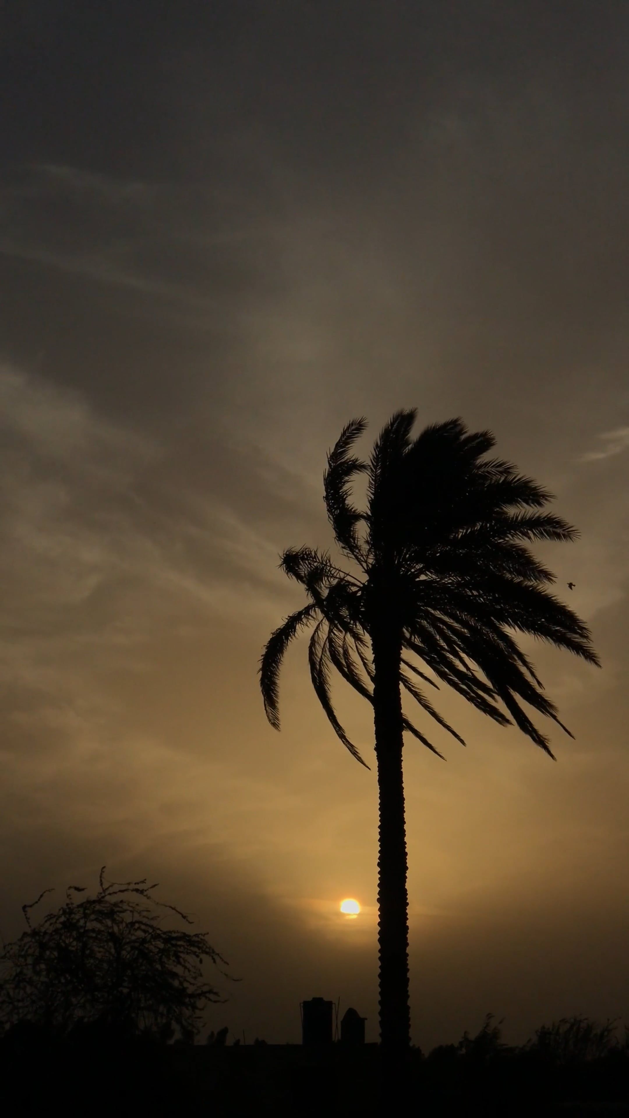 Evening Sun Set Free Stock Video Footage, Royalty-Free 4K & HD Video Clip