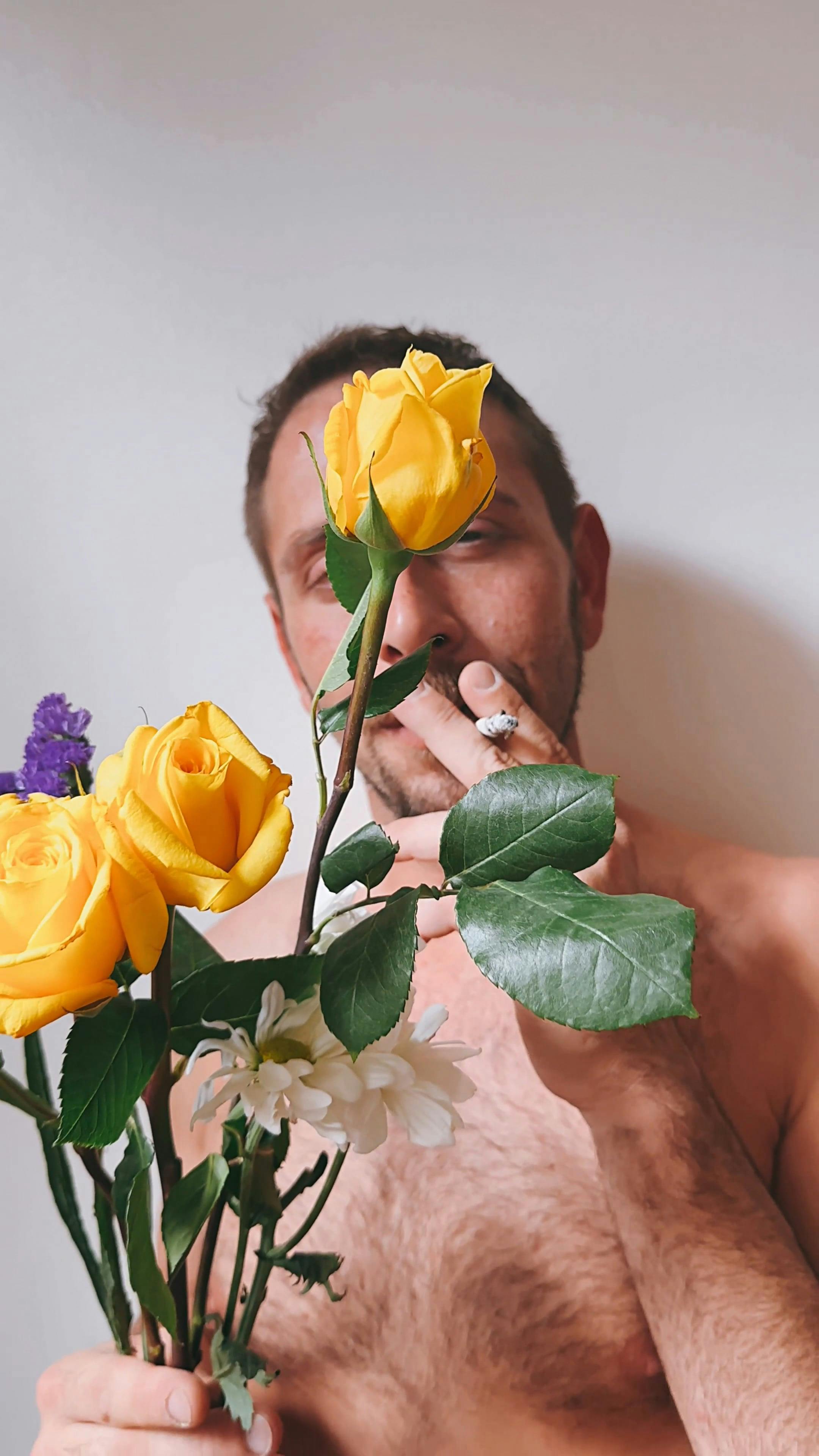 Turkish Rose Video Videos, Download The BEST Free 4k Stock Video ...