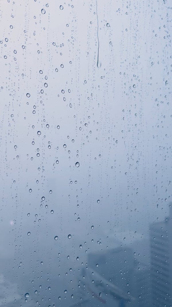 Rain Vertical Videos, Download The BEST Free 4k Stock Video Footage ...