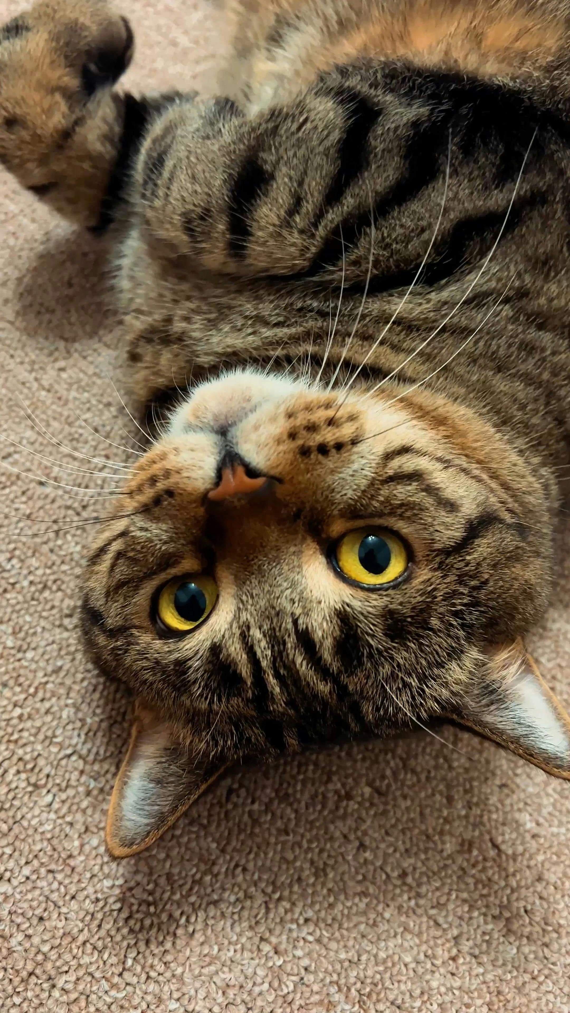 Rolling Eye Videos, Download The BEST Free 4k Stock Video Footage ...