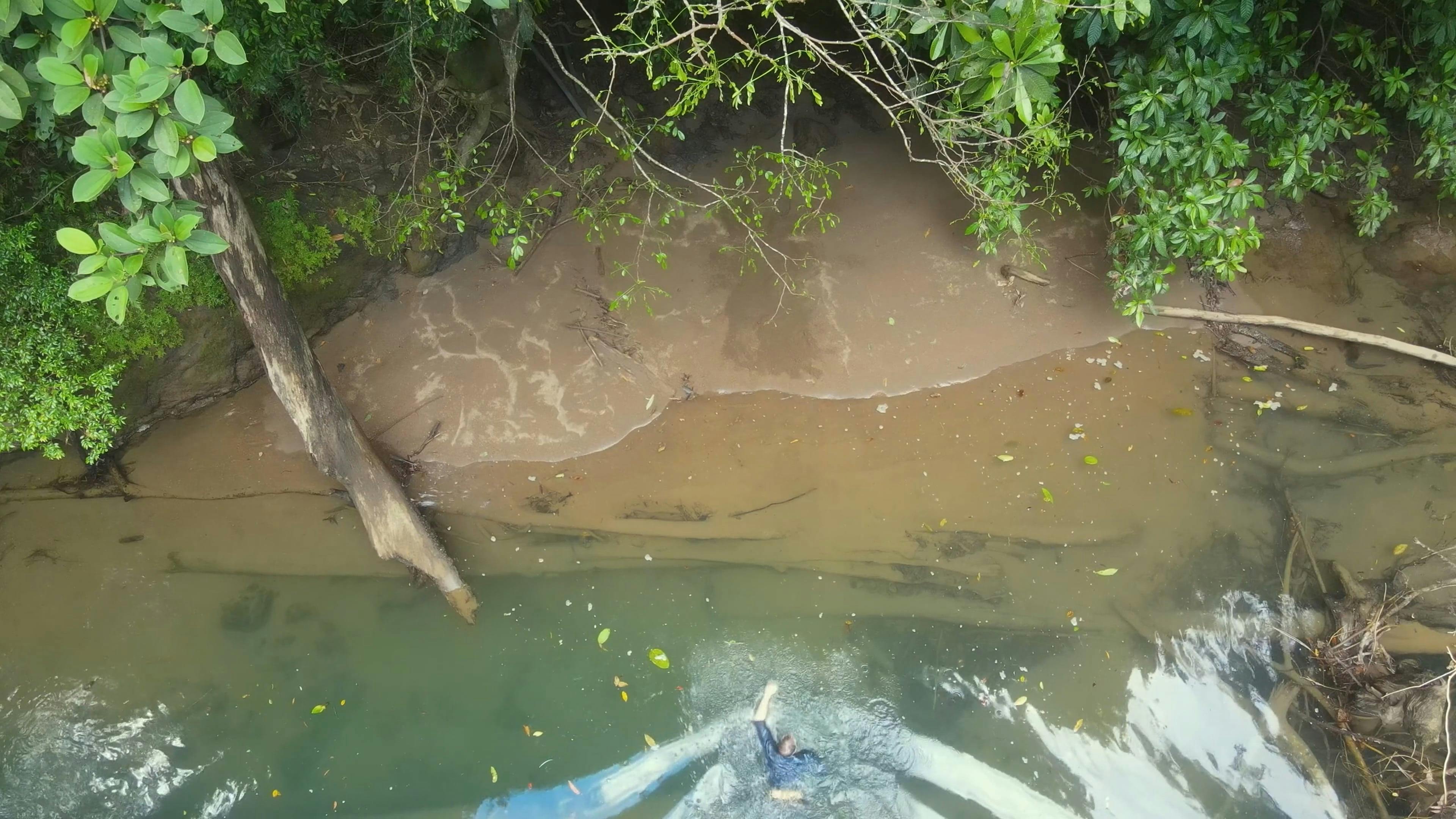 Hollywood Actor Action Movies Videos, Download The BEST Free 4k Stock ...