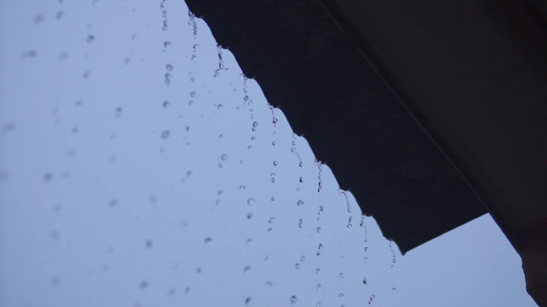 Raindrops Free Stock Video Footage, Royalty-Free 4K & HD Video Clip