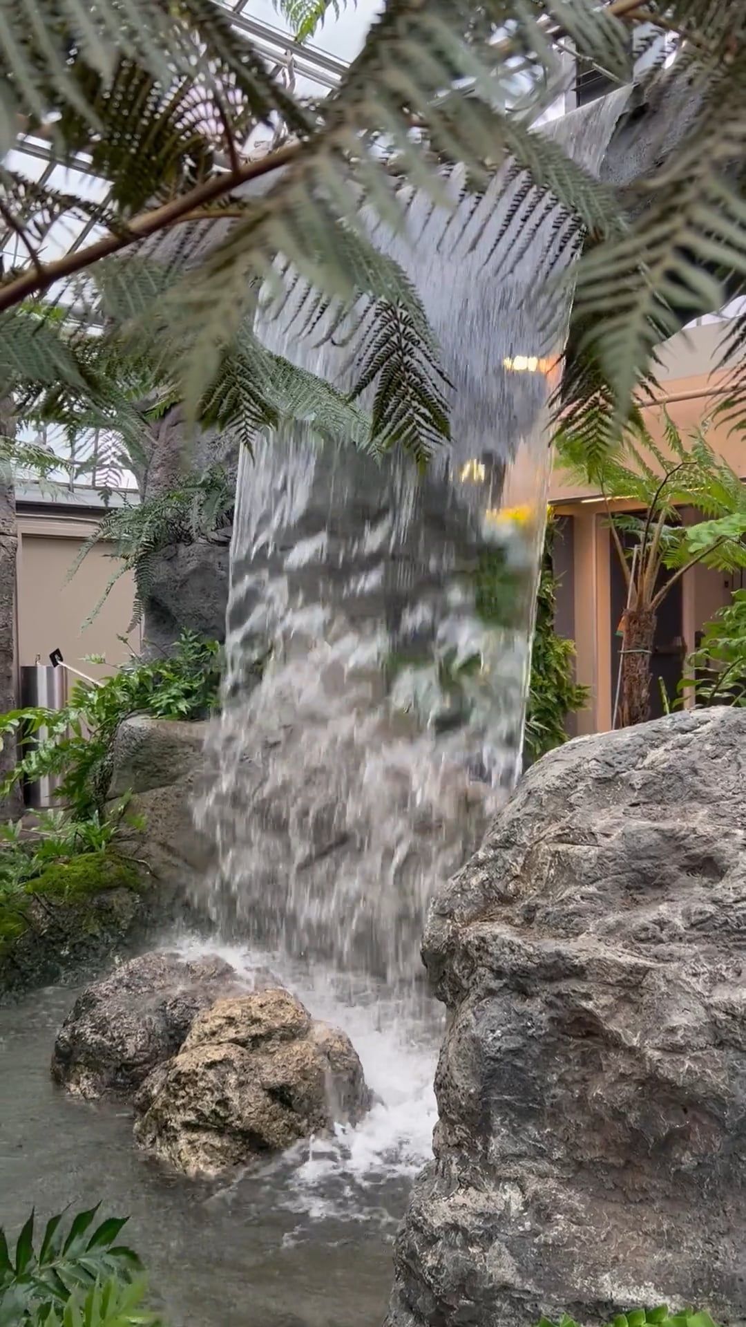 A waterfall in a building with plants and rocks Free Stock Video ...