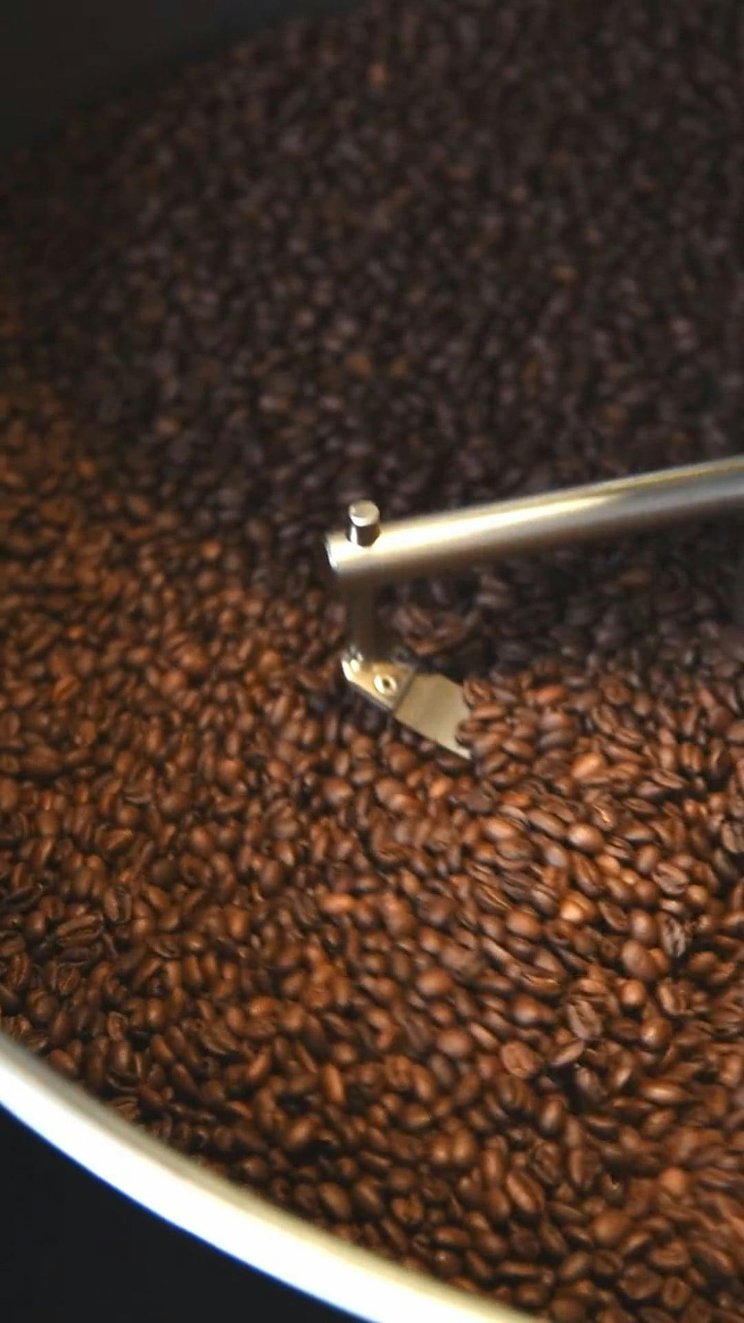 Petals Falling on a Cup of Coffee Free Stock Video Footage, Royalty ...