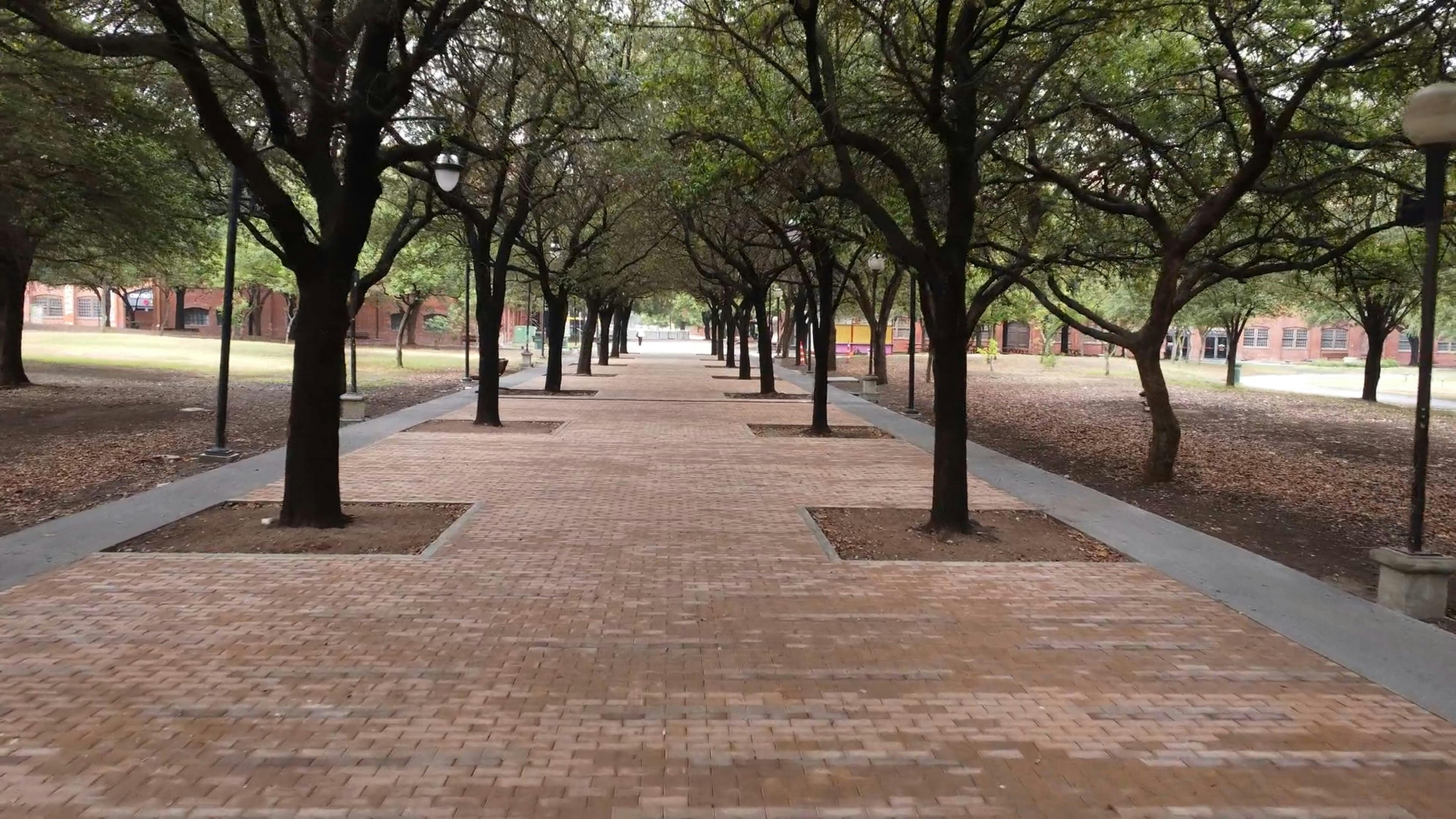 Brick Leone Videos, Download The BEST Free 4k Stock Video Footage ...