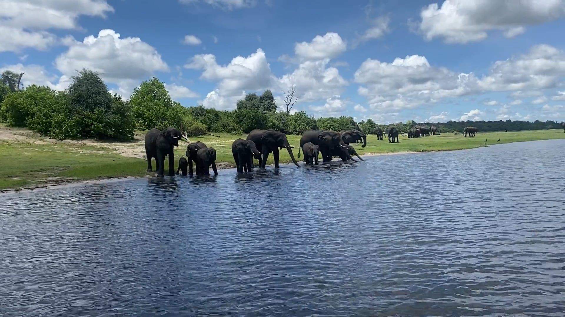 Ivory Clouds Videos, Download The BEST Free 4k Stock Video Footage ...